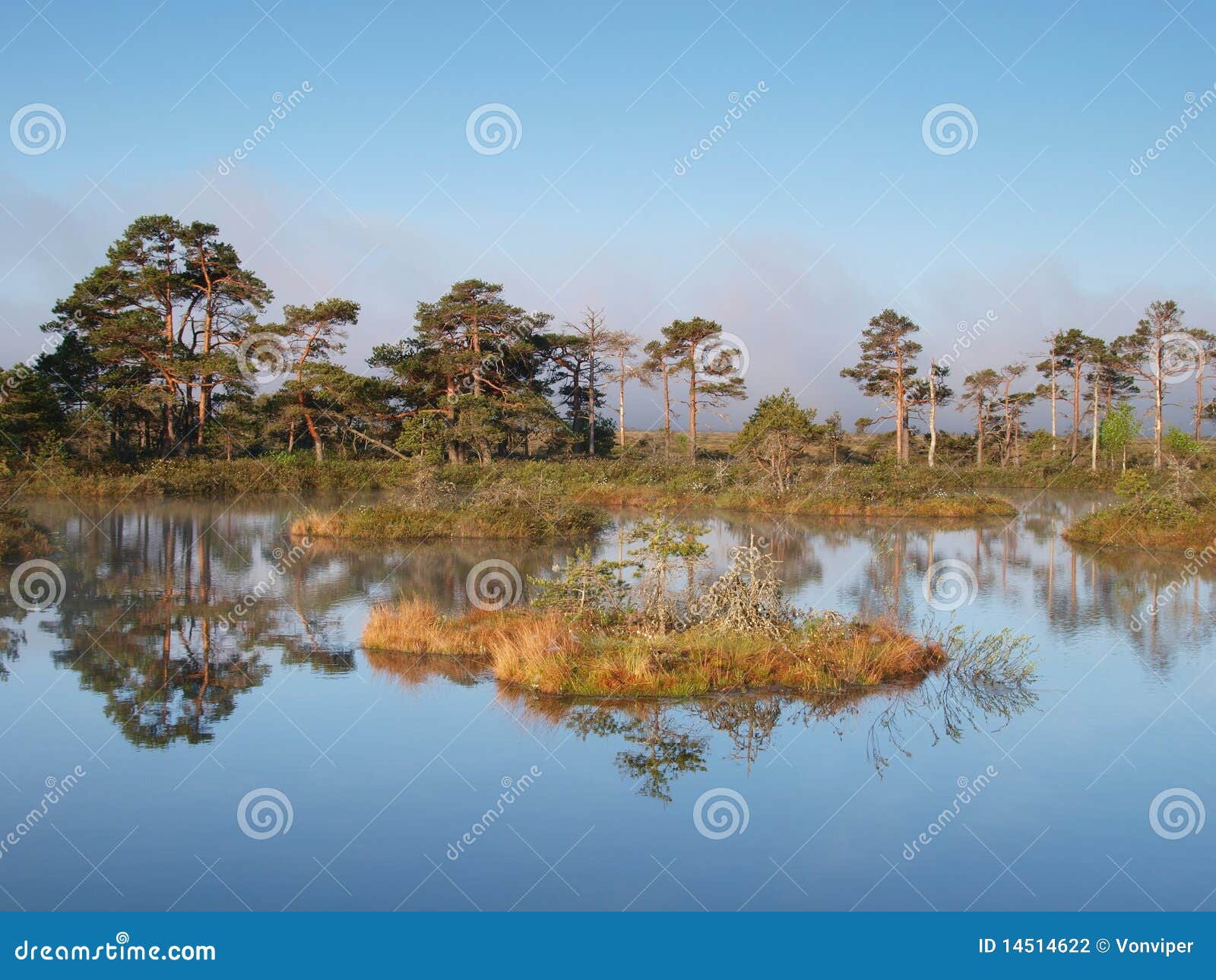 Marsh pool stock photo. Image of outdoors, nature, reflextion - 14514622