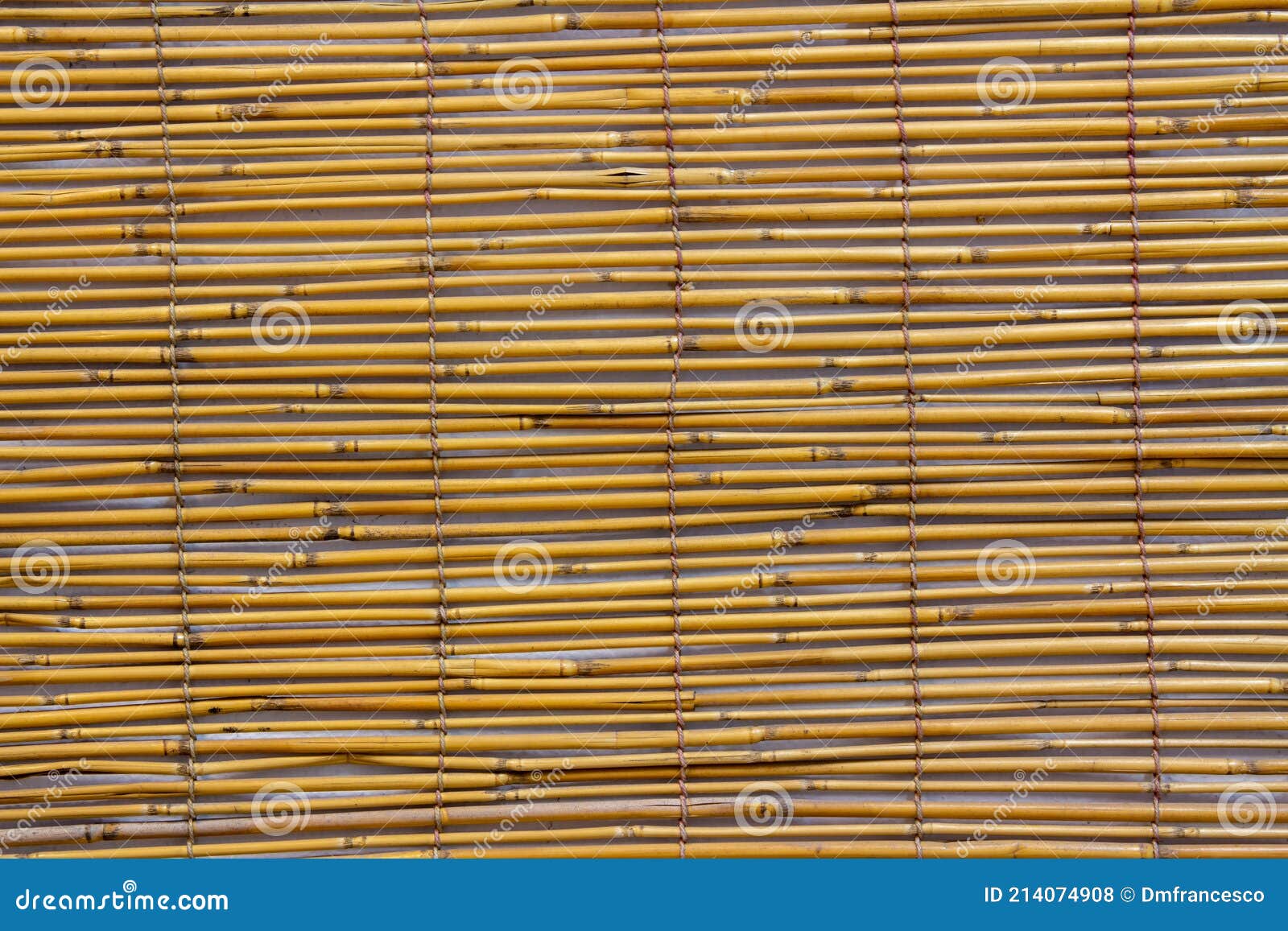 Marsh Reed Barrier for Gardens Stock Photo - Image of area, pathway ...
