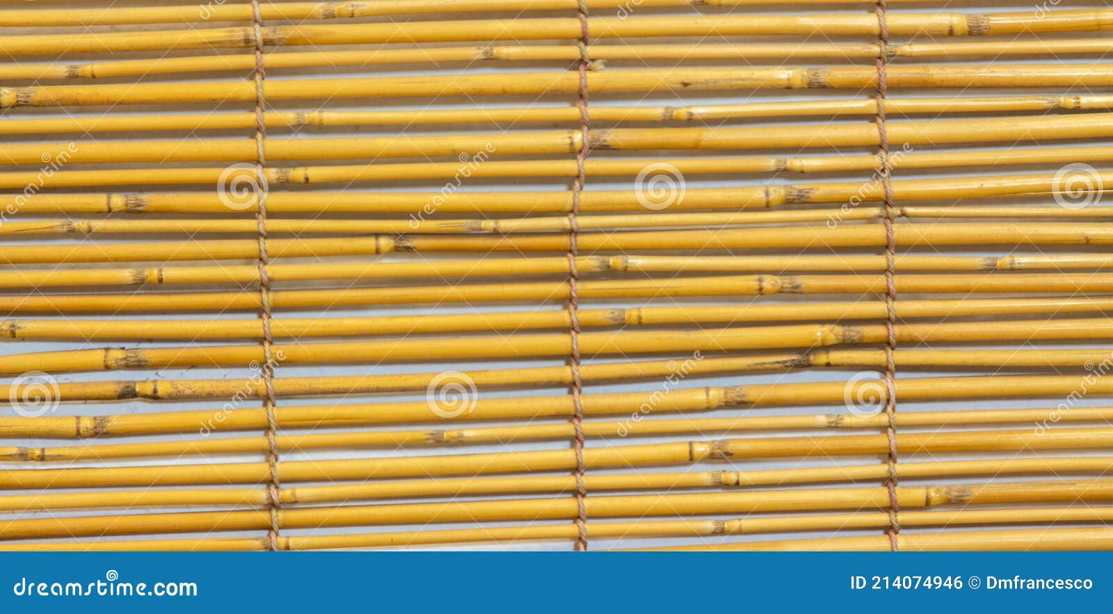 Marsh Reed Barrier for Gardens Stock Photo - Image of landscape, green ...