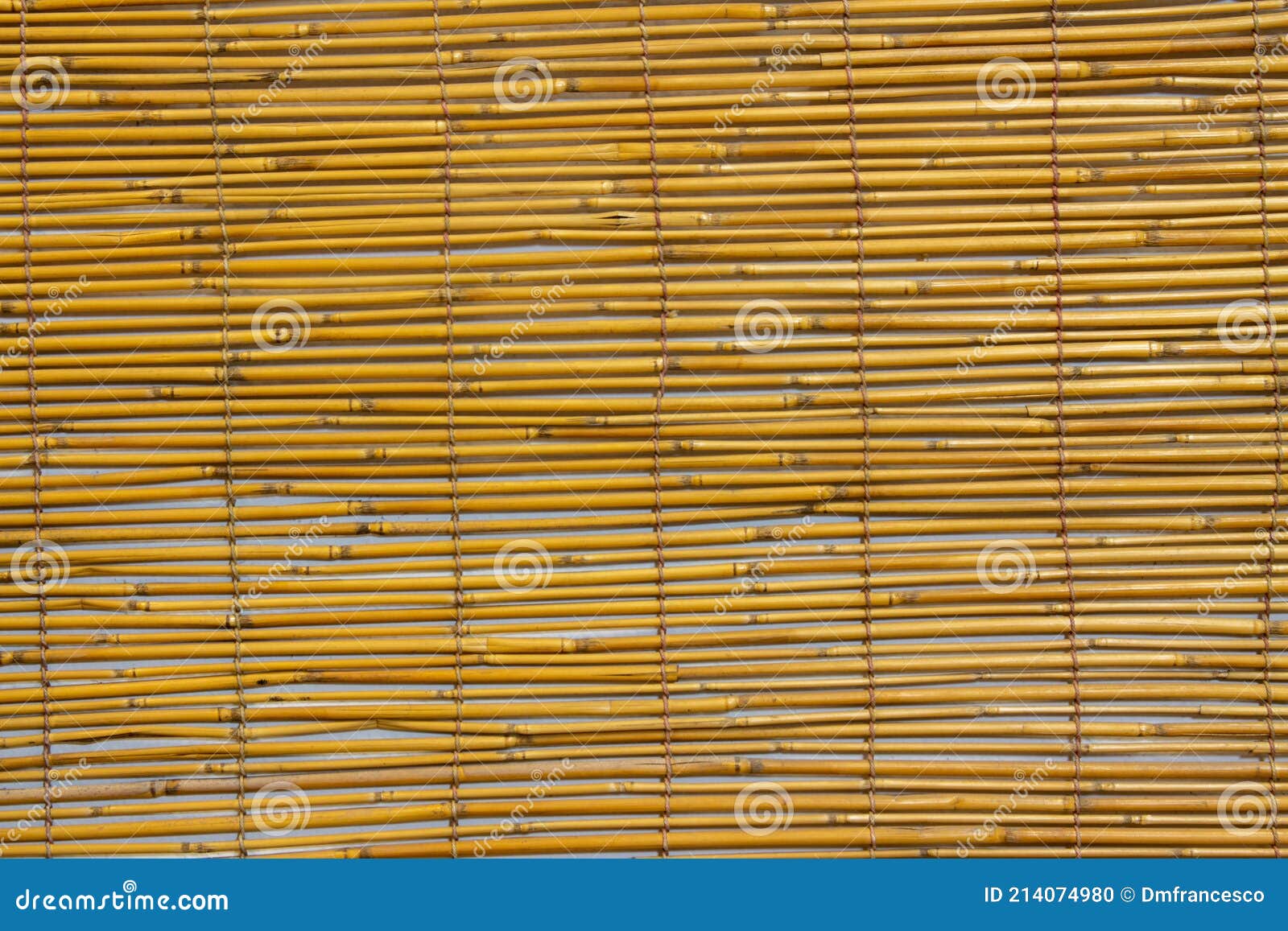 Marsh Reed Barrier for Gardens Stock Photo - Image of barrier, path ...