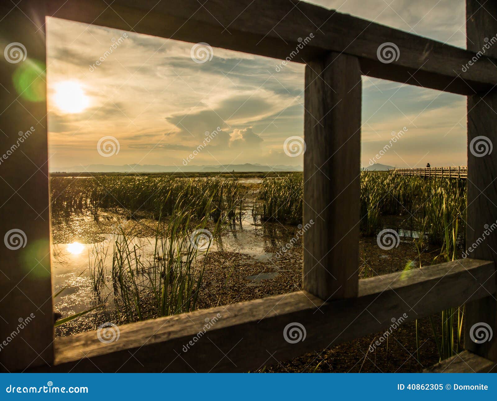 The Marsh and Reeds in Bridge Frame Stock Image - Image of ocean, beach ...
