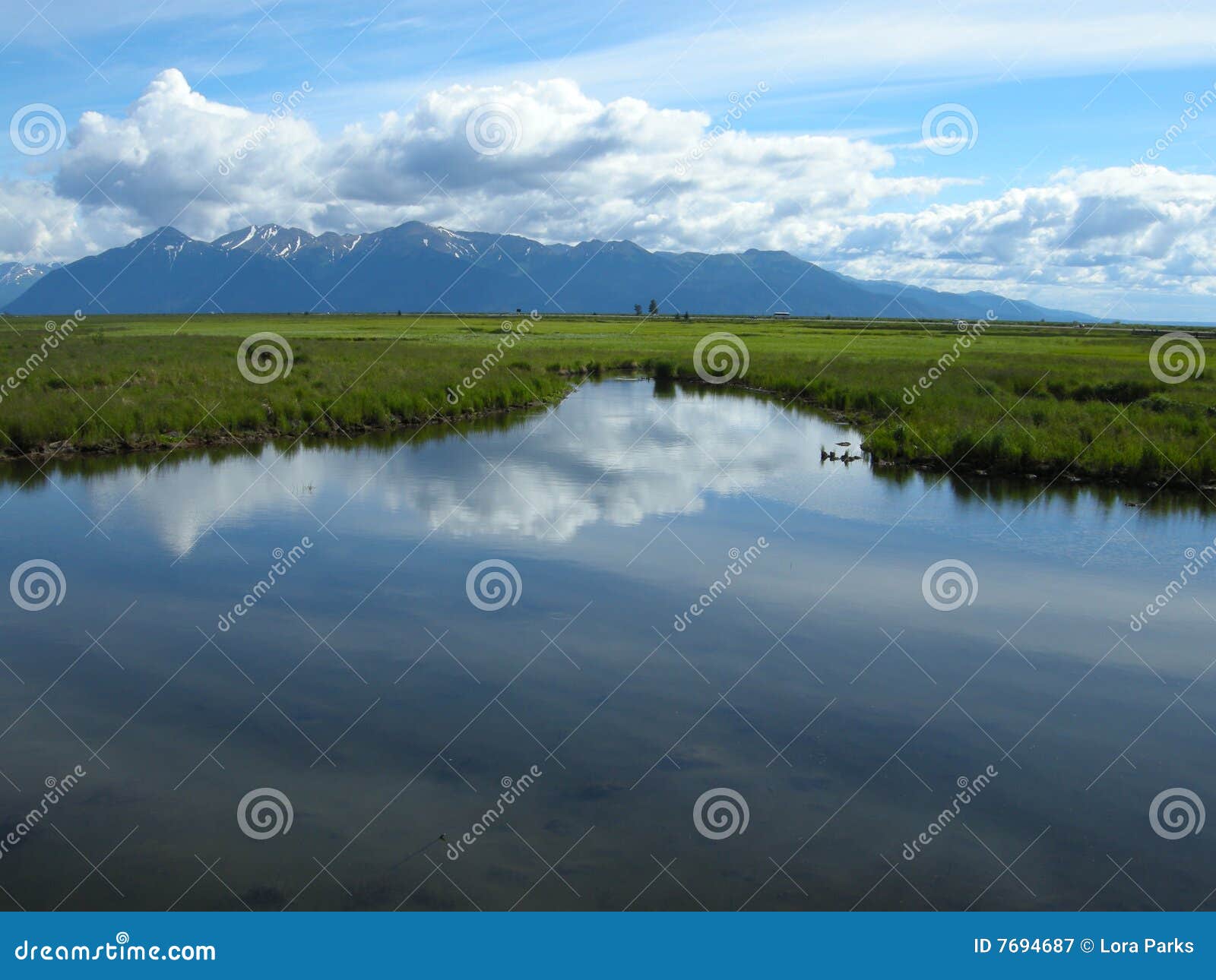 Marsh reflections stock image. Image of blue, water, marsh - 7694687