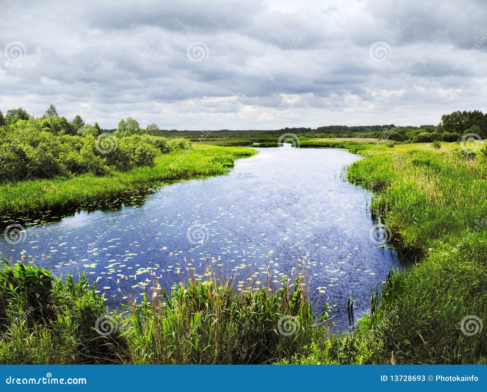 Marsh River Under Cloudy Sky Stock Image - Image of relaxation, river ...