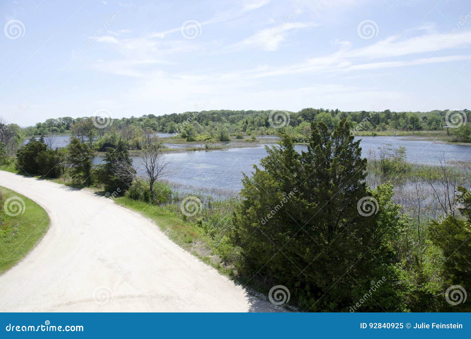 Marsh Road stock image. Image of coastal, brackish, salt - 92840925
