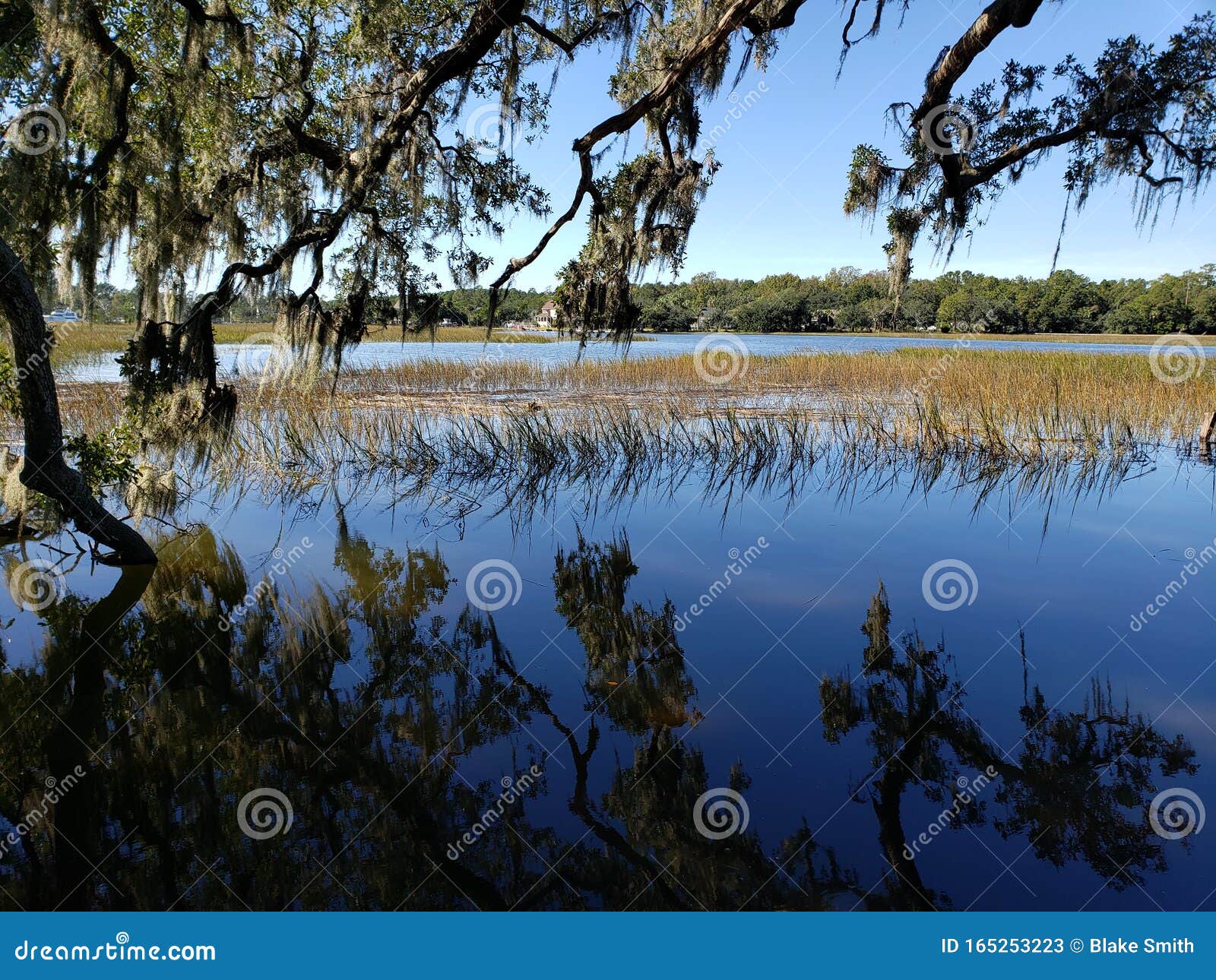 Marsh Scene stock image. Image of reflection, nature - 165253223