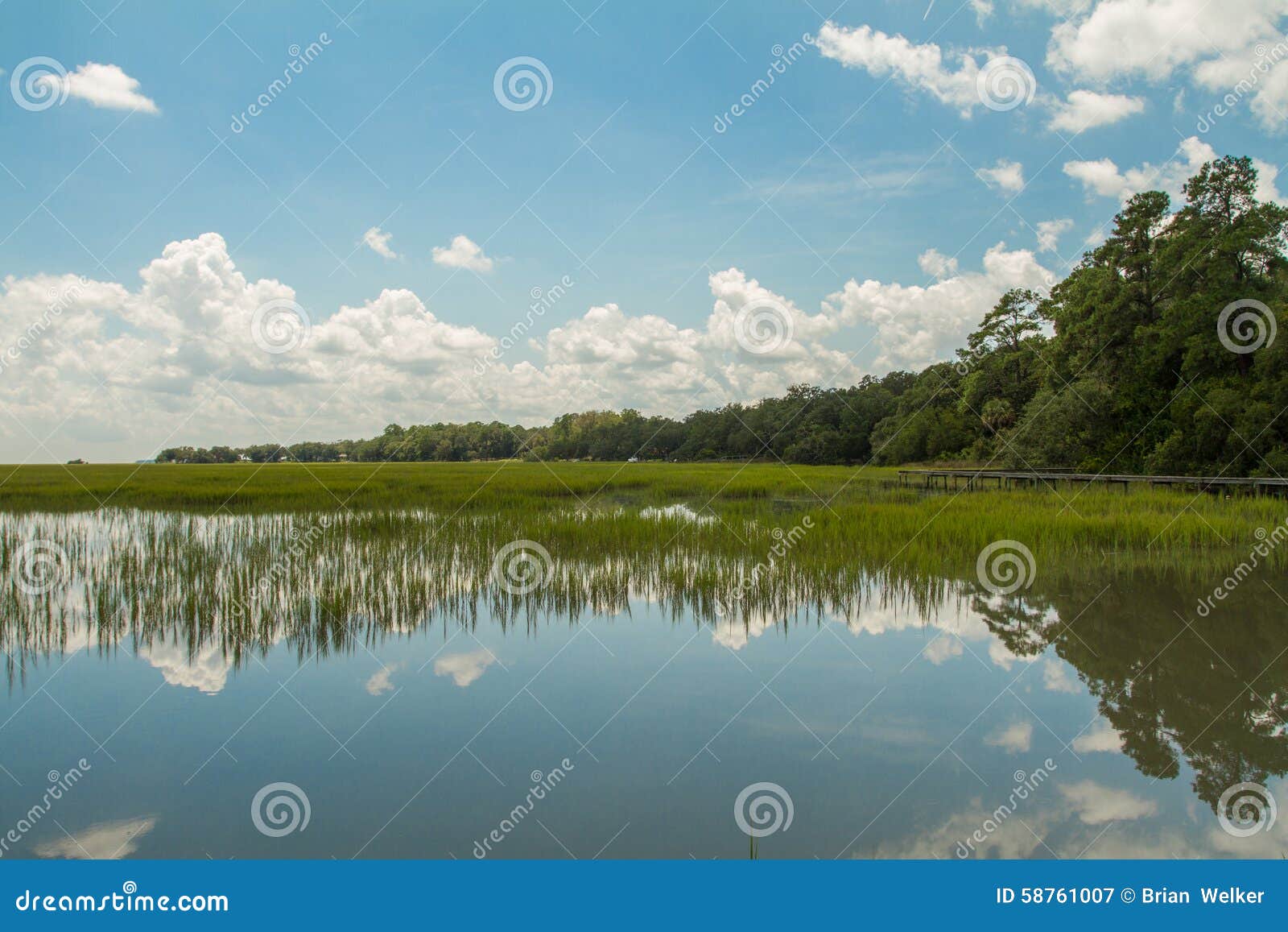 Marsh at St, Mary S, Georgia Stock Image - Image of grasses, skies ...