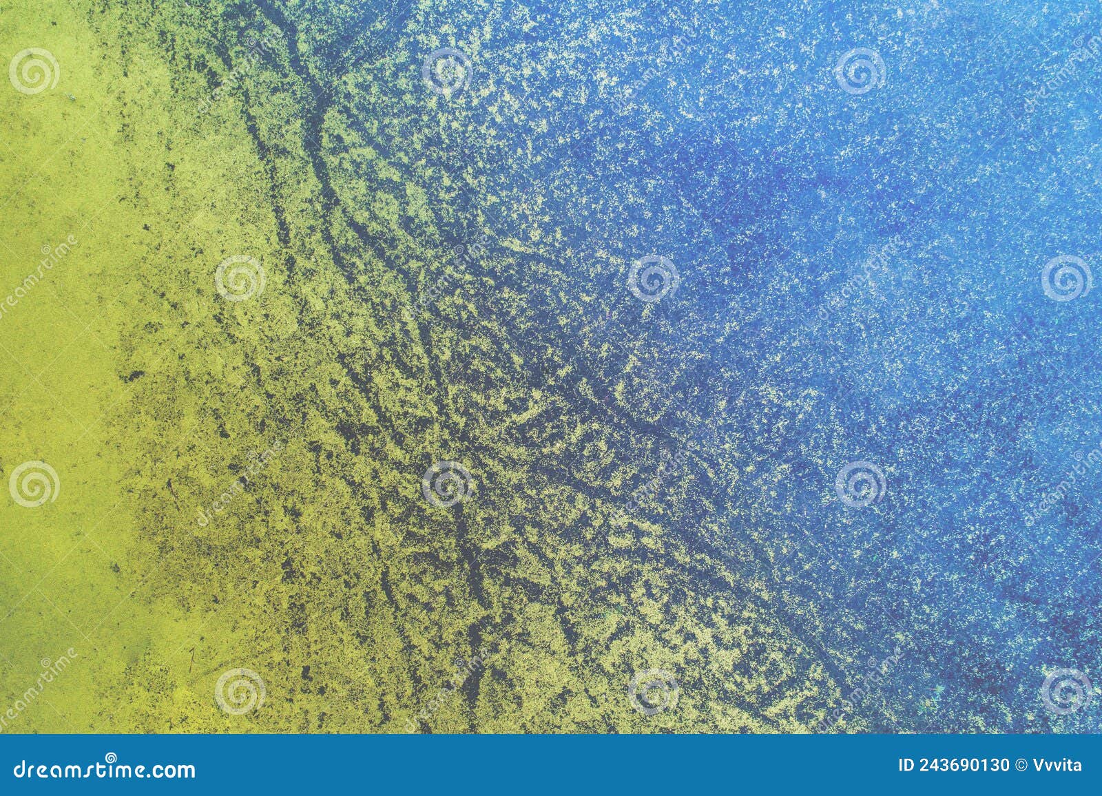 Marsh with tina texture stock photo. Image of abstract - 243690130