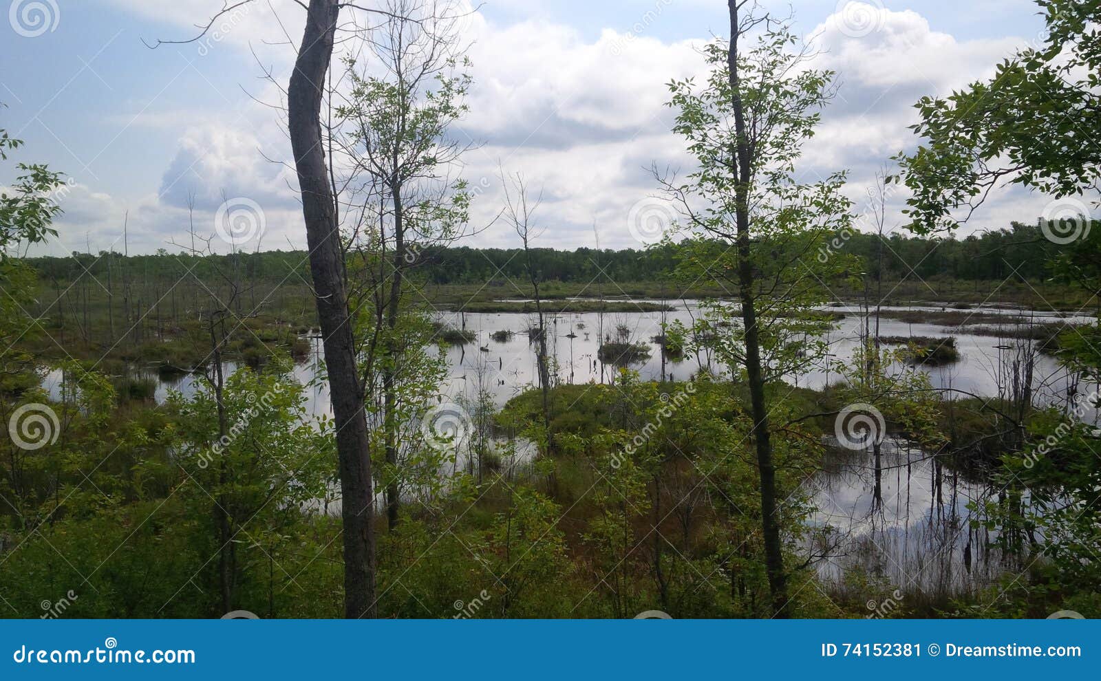 Marsh stock image. Image of clouds, blue, greenery, marsh - 74152381