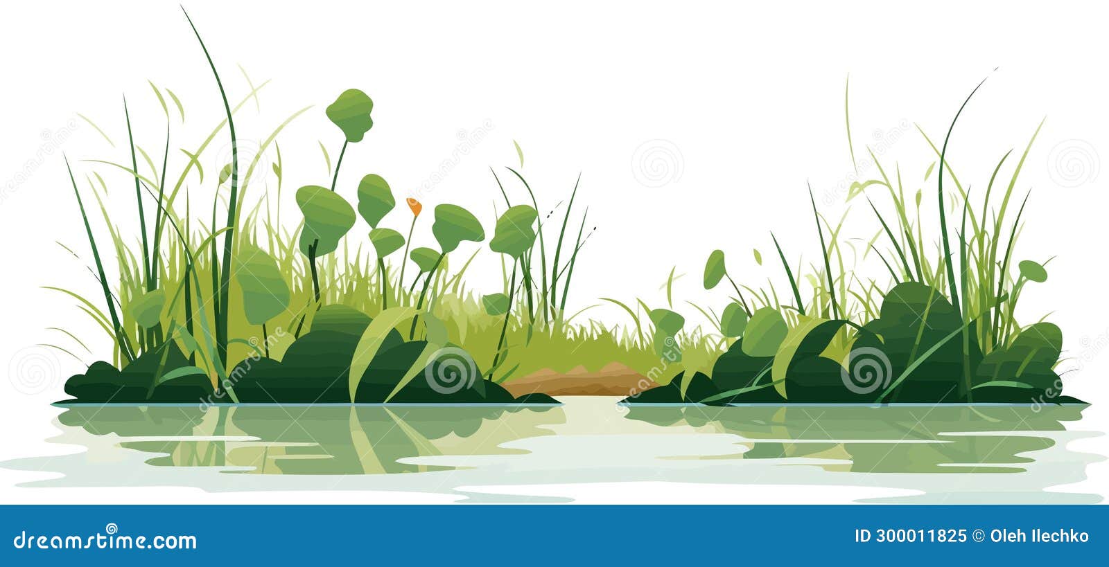 Marsh Vegetation Set Isolated Vector Style Illustration Stock Vector ...