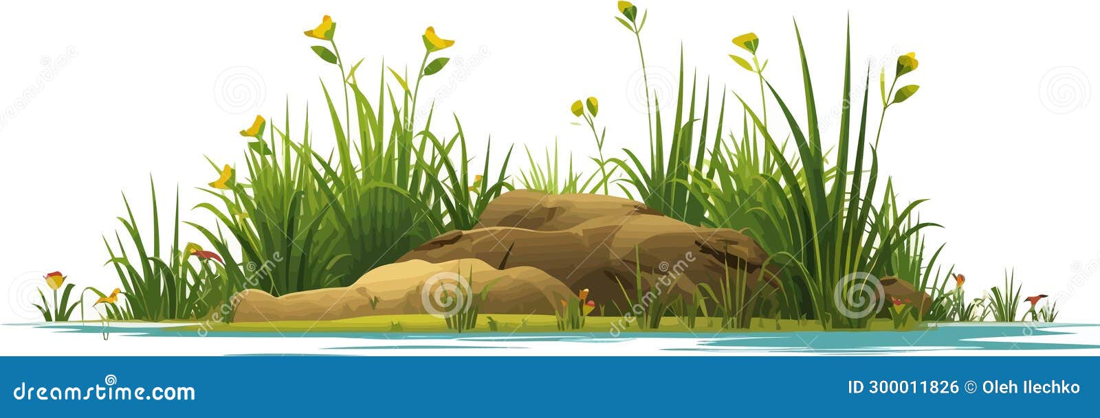 Marsh Vegetation Set Isolated Vector Style Illustration Stock Vector ...