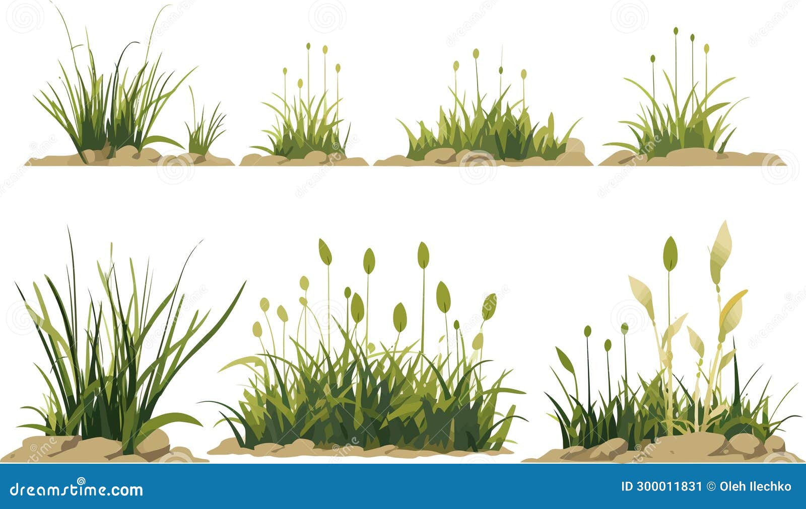Marsh Vegetation Set Isolated Vector Style Illustration Stock Vector ...