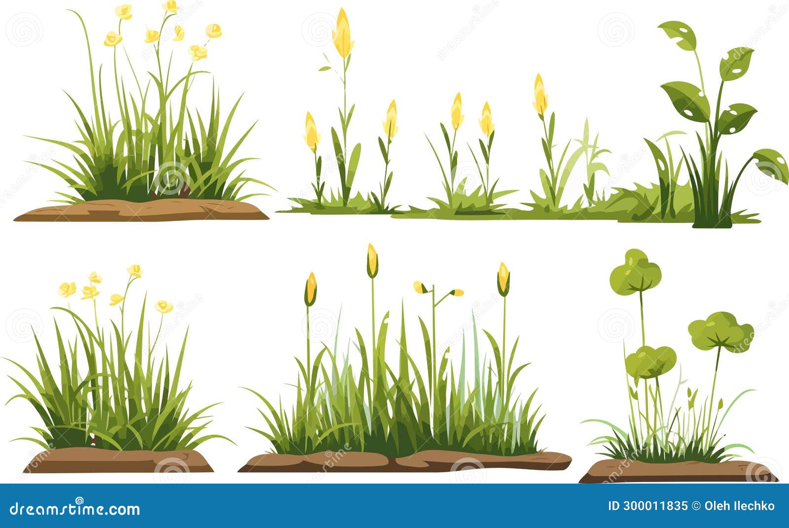 Marsh Vegetation Set Isolated Vector Style Illustration Stock Vector ...
