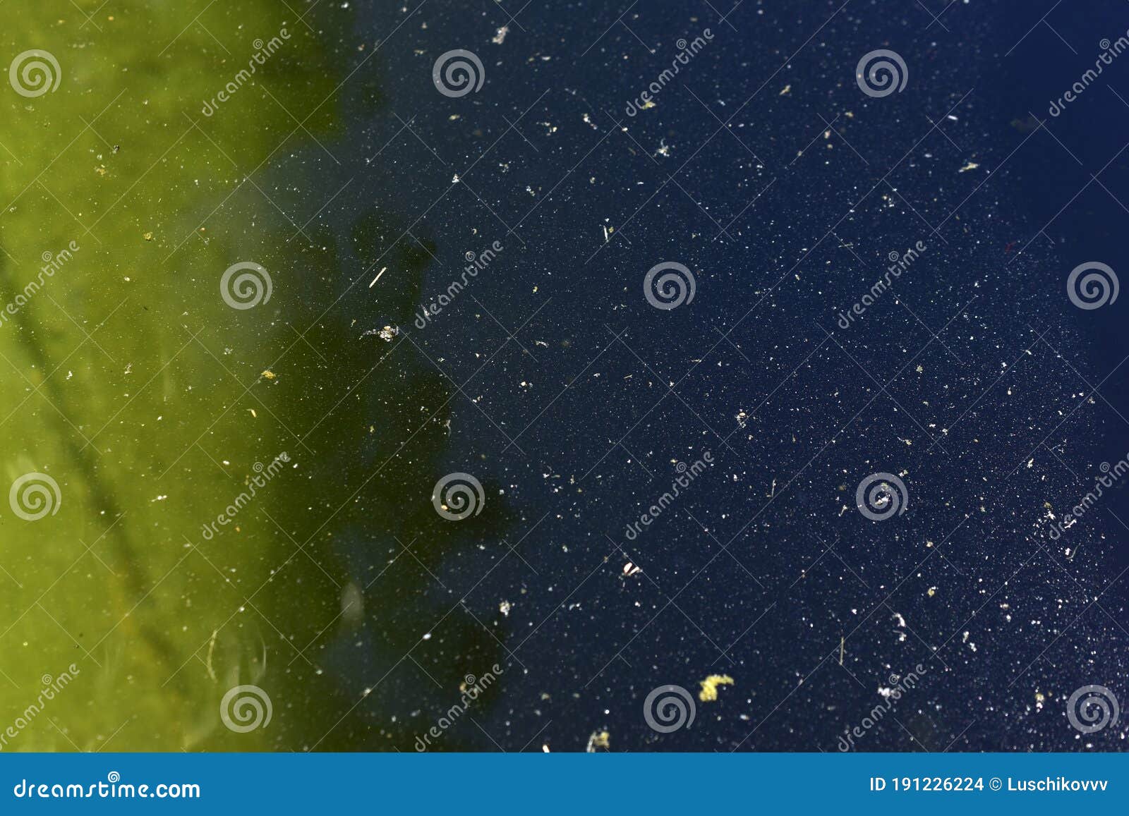 Marsh Water with Mud and Algae on the Surface in Summer Stock Photo ...