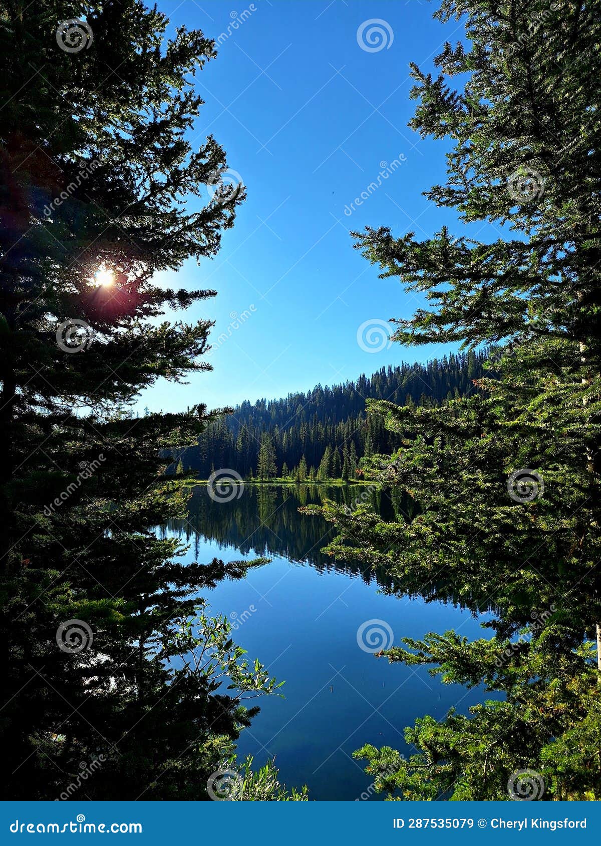 Marshall Lake Idaho stock image. Image of outdoors, marshall - 287535079
