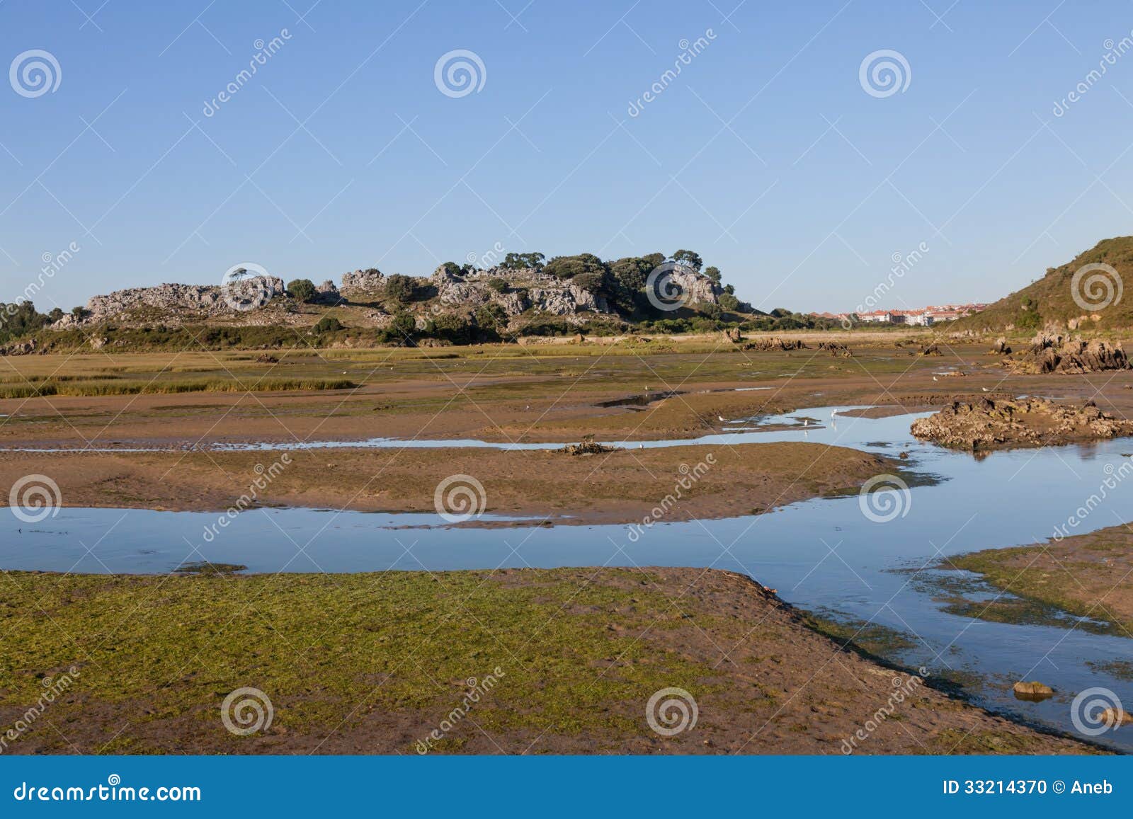 Marshes in Cantabria, Spain Stock Photo - Image of landscape, wild ...