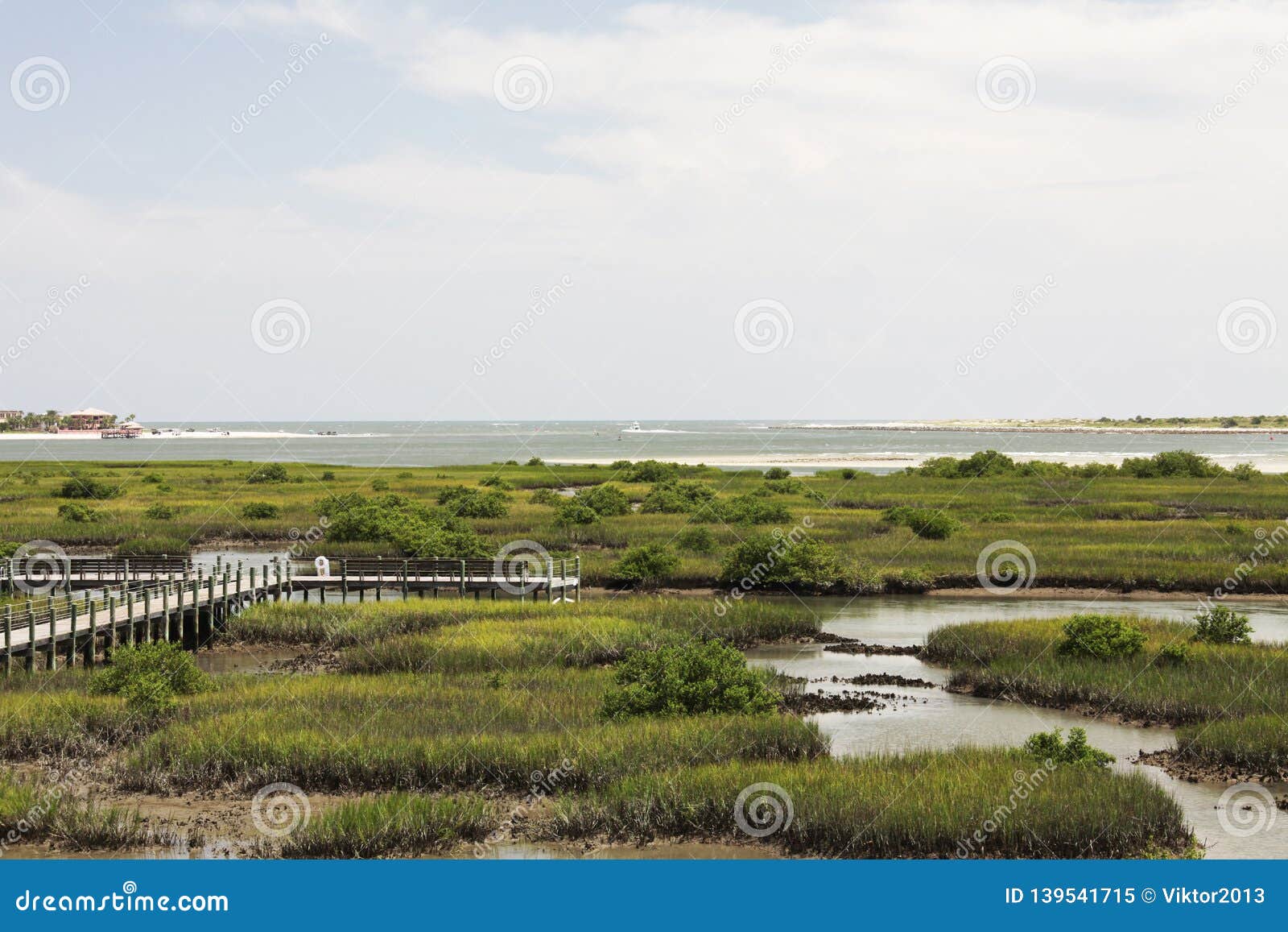 Marshes of north Florida stock image. Image of journey - 139541715