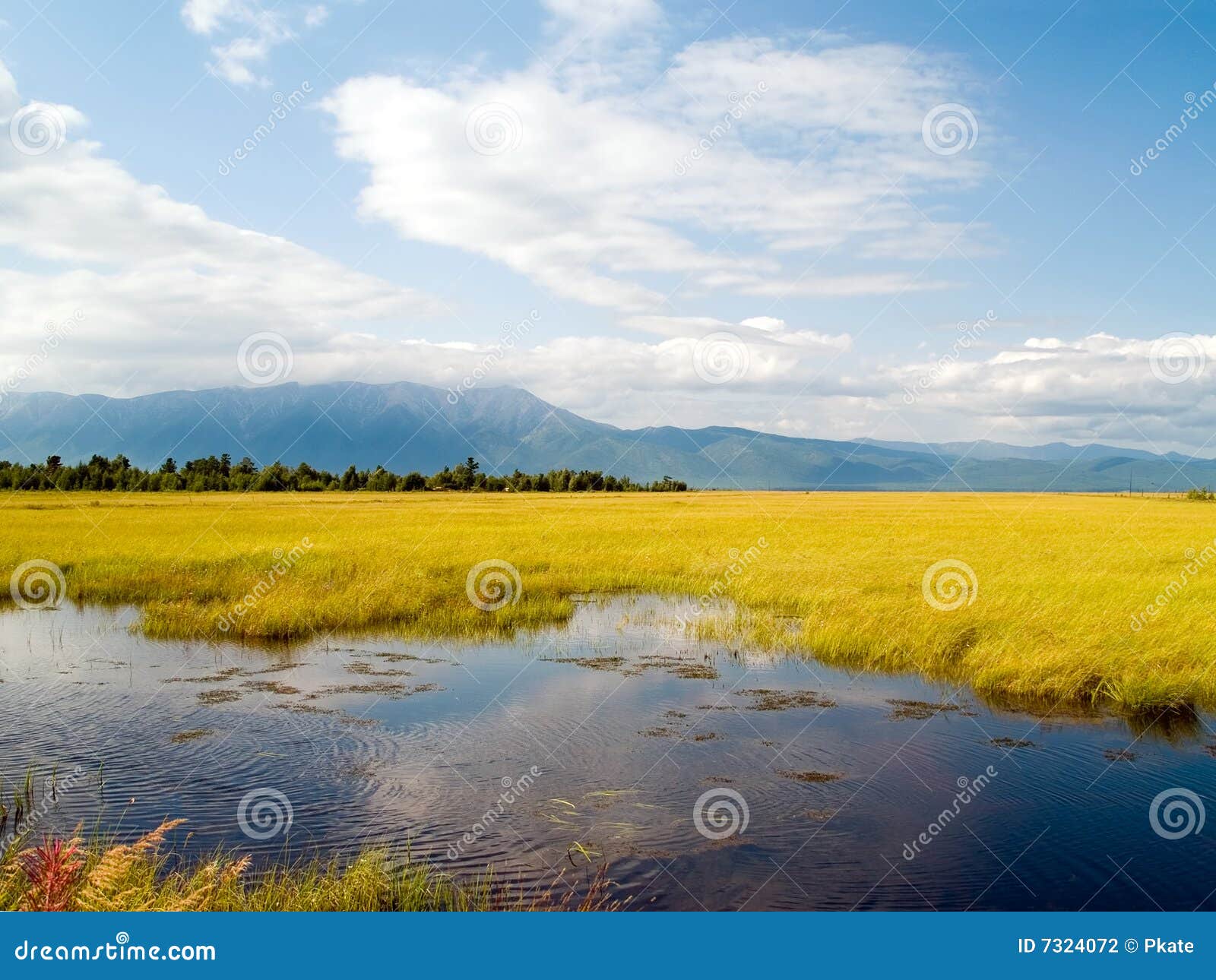 Marshland stock photo. Image of cloudscape, reflection - 7324072