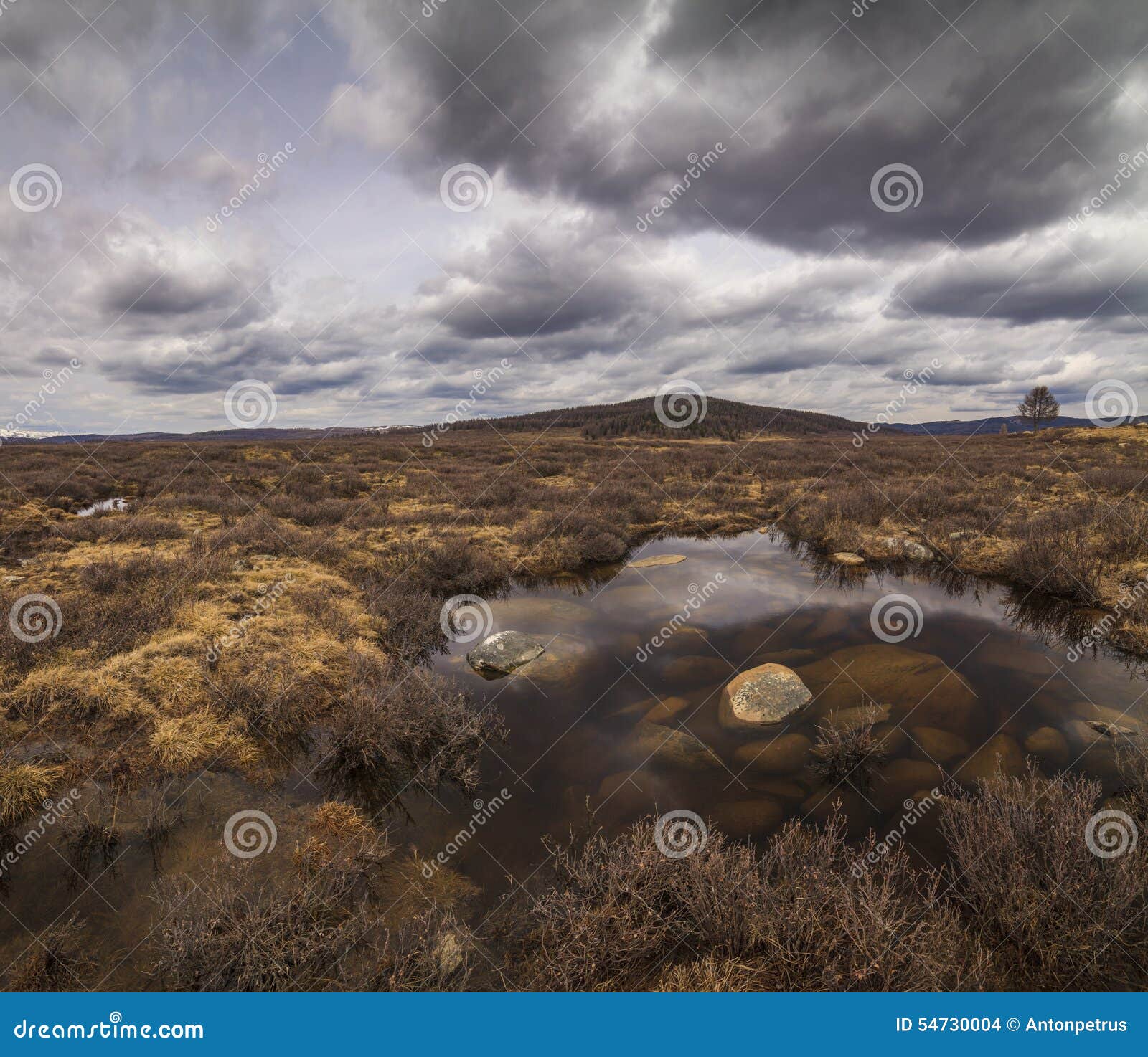 Marshland on the Background of Mountain Scenery Stock Photo - Image of ...