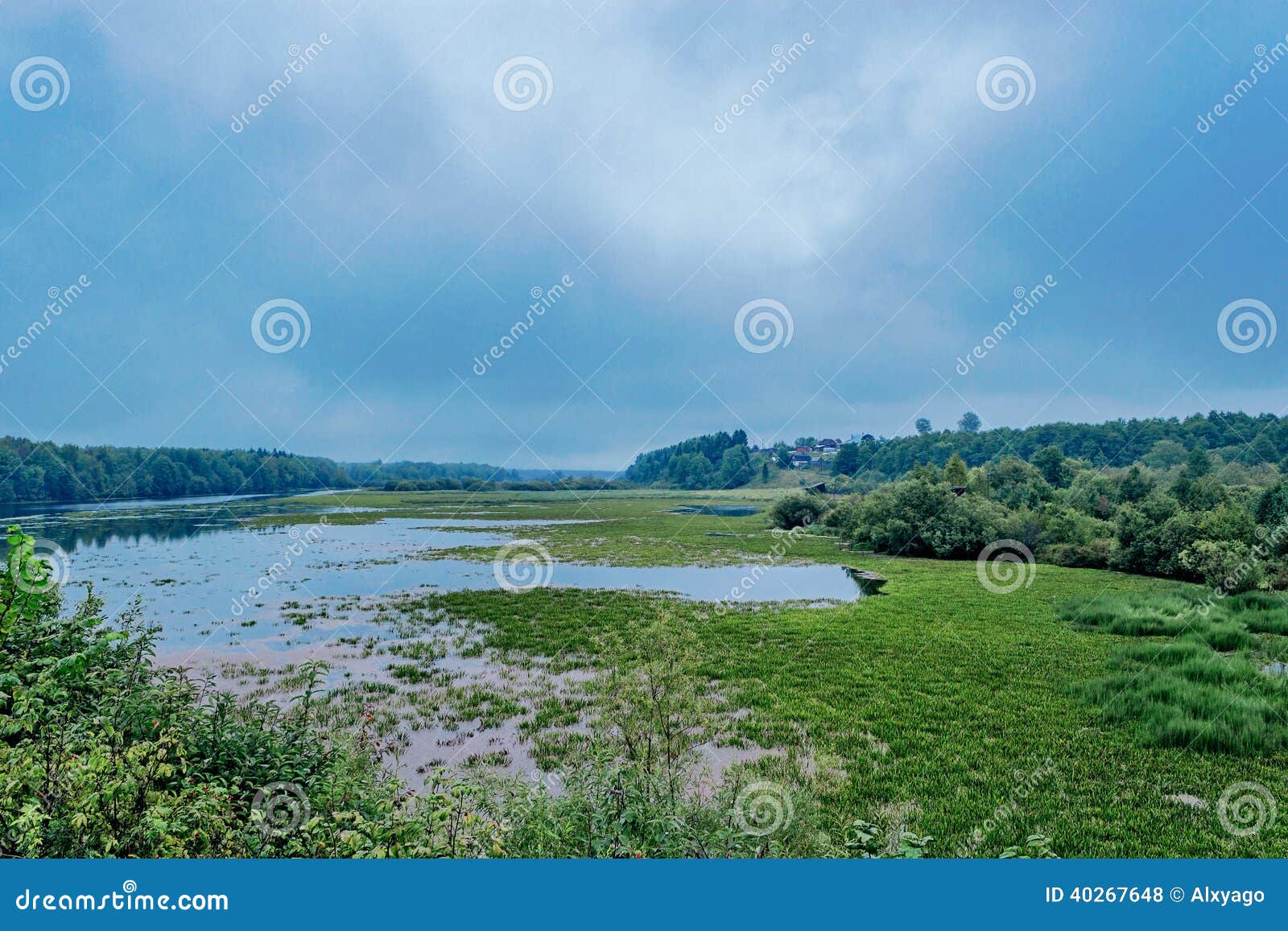 Marshland stock photo. Image of scene, rain, drizzle - 40267648