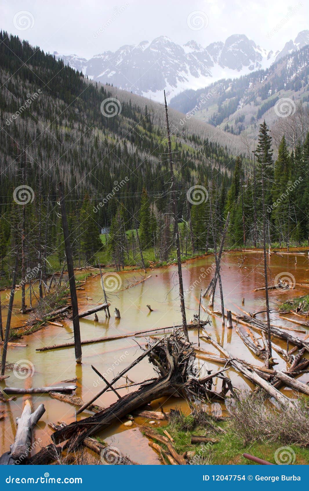 Marshland and mountains stock photo. Image of wetland - 12047754