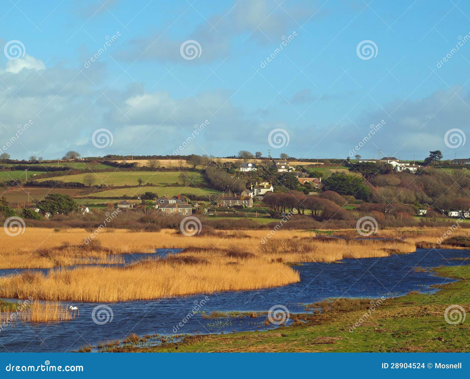 Marshland Near Marazion Cornwall Stock Photo - Image of england, tide ...