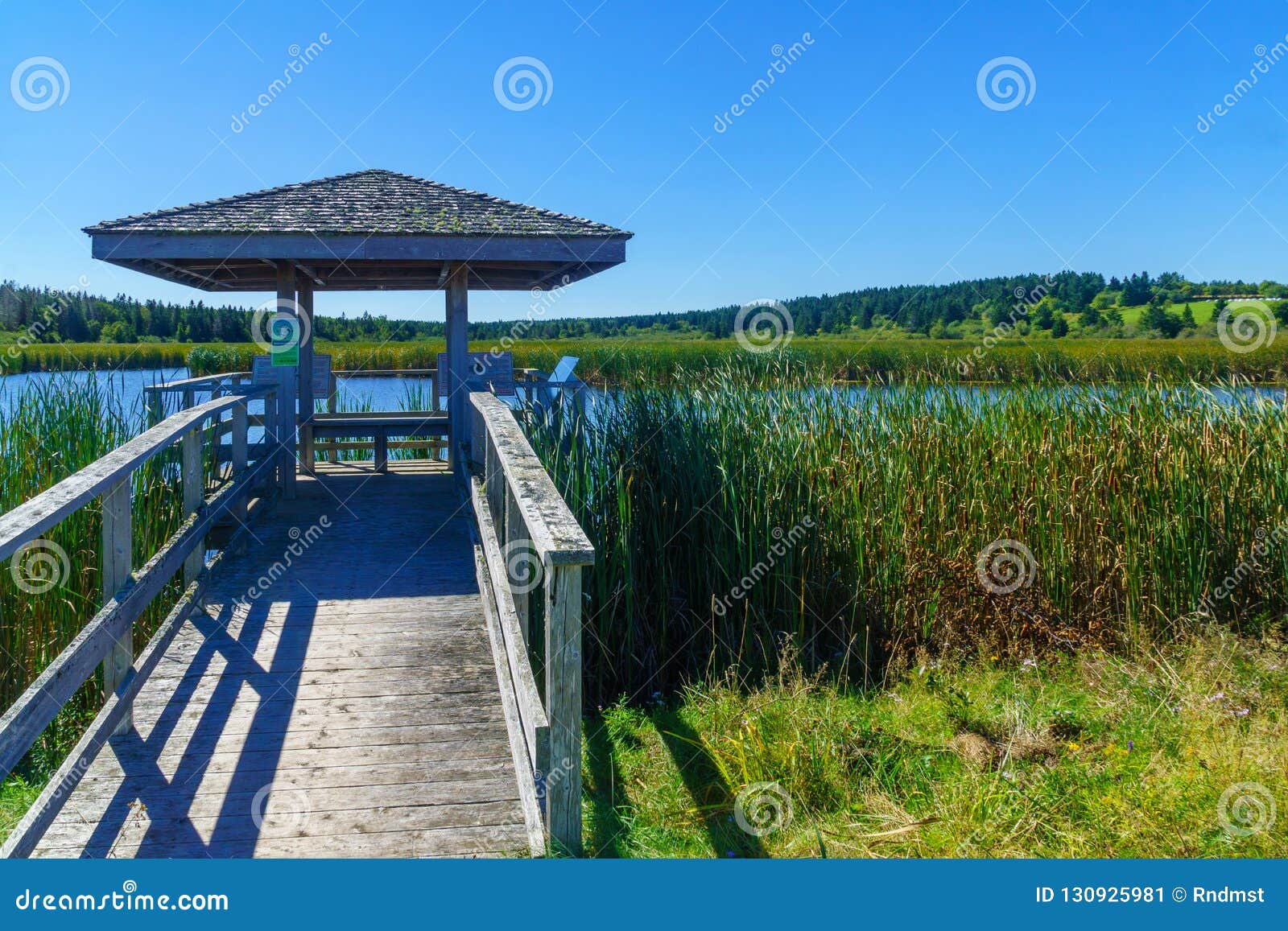 Marshland View in Harvey, New Brunswick Editorial Photo - Image of ...