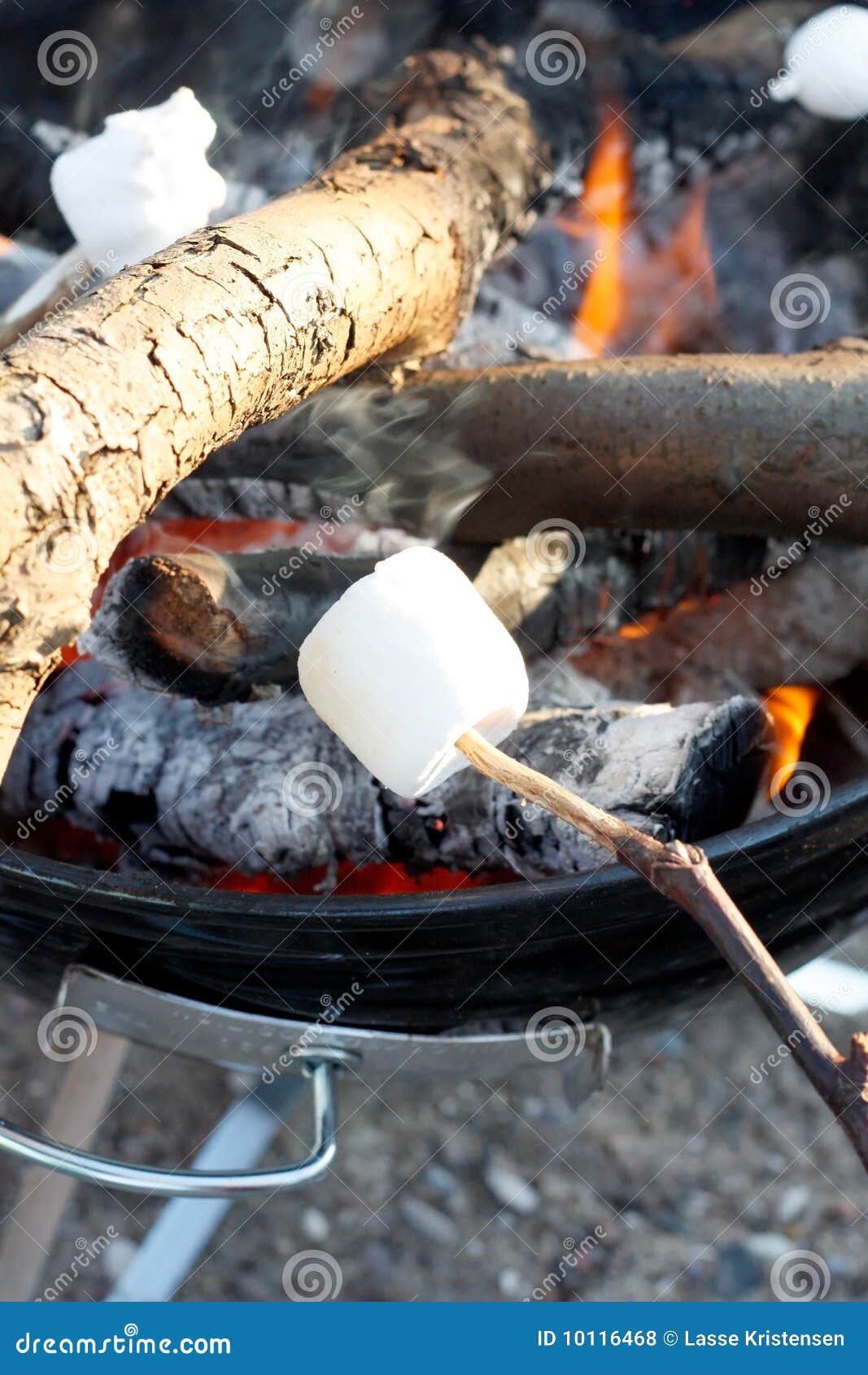 Marshmallow stock photo. Image of cookout, bonfire, mallow - 10116468