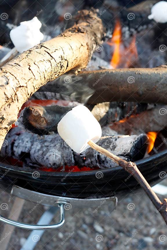 Marshmallow stock photo. Image of cookout, bonfire, mallow - 10116468