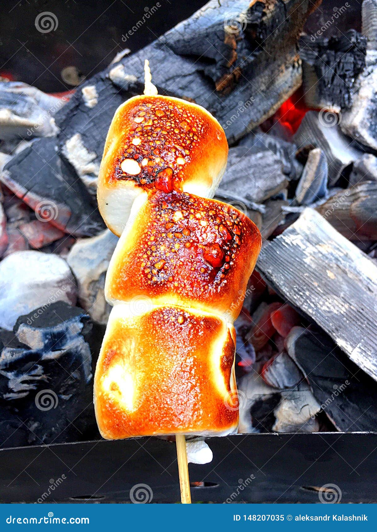 Marshmallow barbecue stock image. Image of marshmallow - 148207035