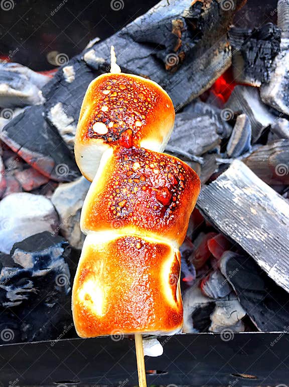Marshmallow barbecue stock image. Image of marshmallow - 148207035