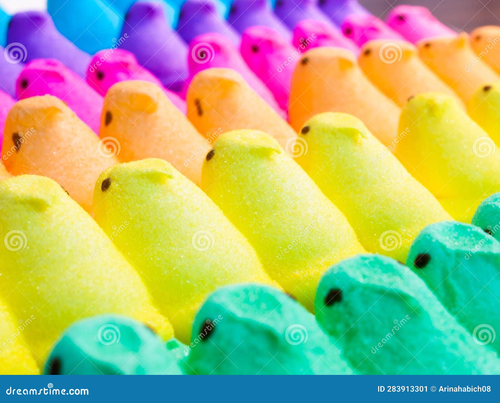 Marshmallow Chicks editorial photo. Image of purple - 283913301