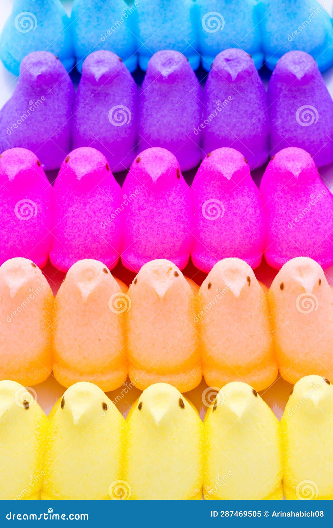 Marshmallow Chicks stock image. Image of pink, easter - 287469505