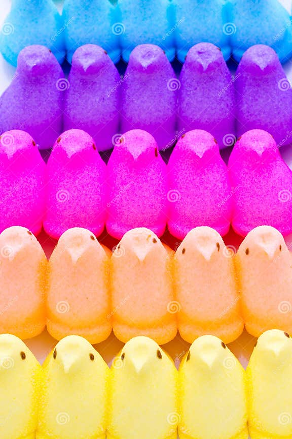 Marshmallow Chicks stock image. Image of pink, easter - 287469505