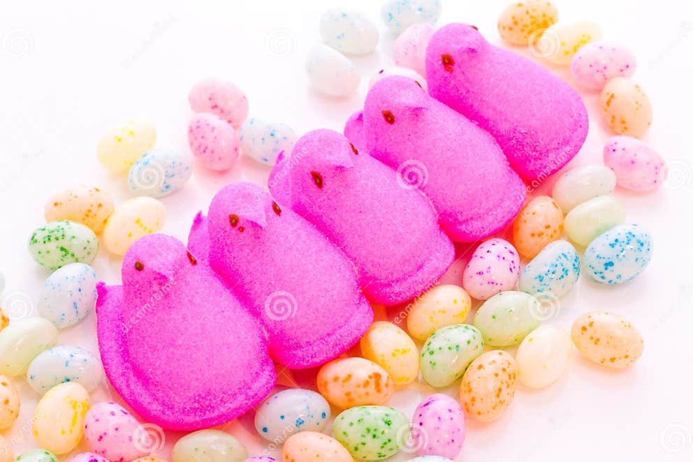 Marshmallow Chicks editorial stock image. Image of peeps - 286957029