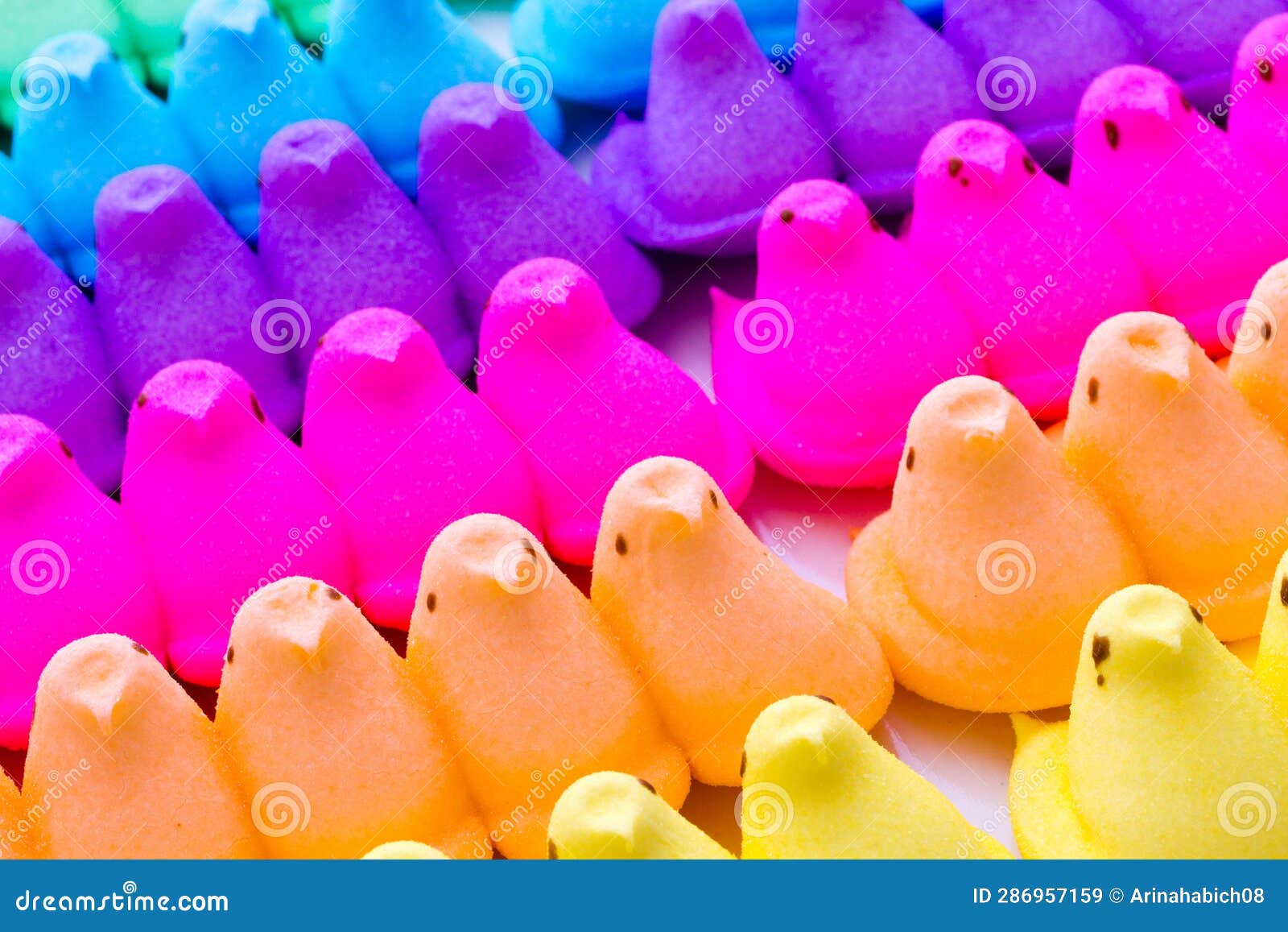 Marshmallow Chicks stock image. Image of food, confection - 286957159