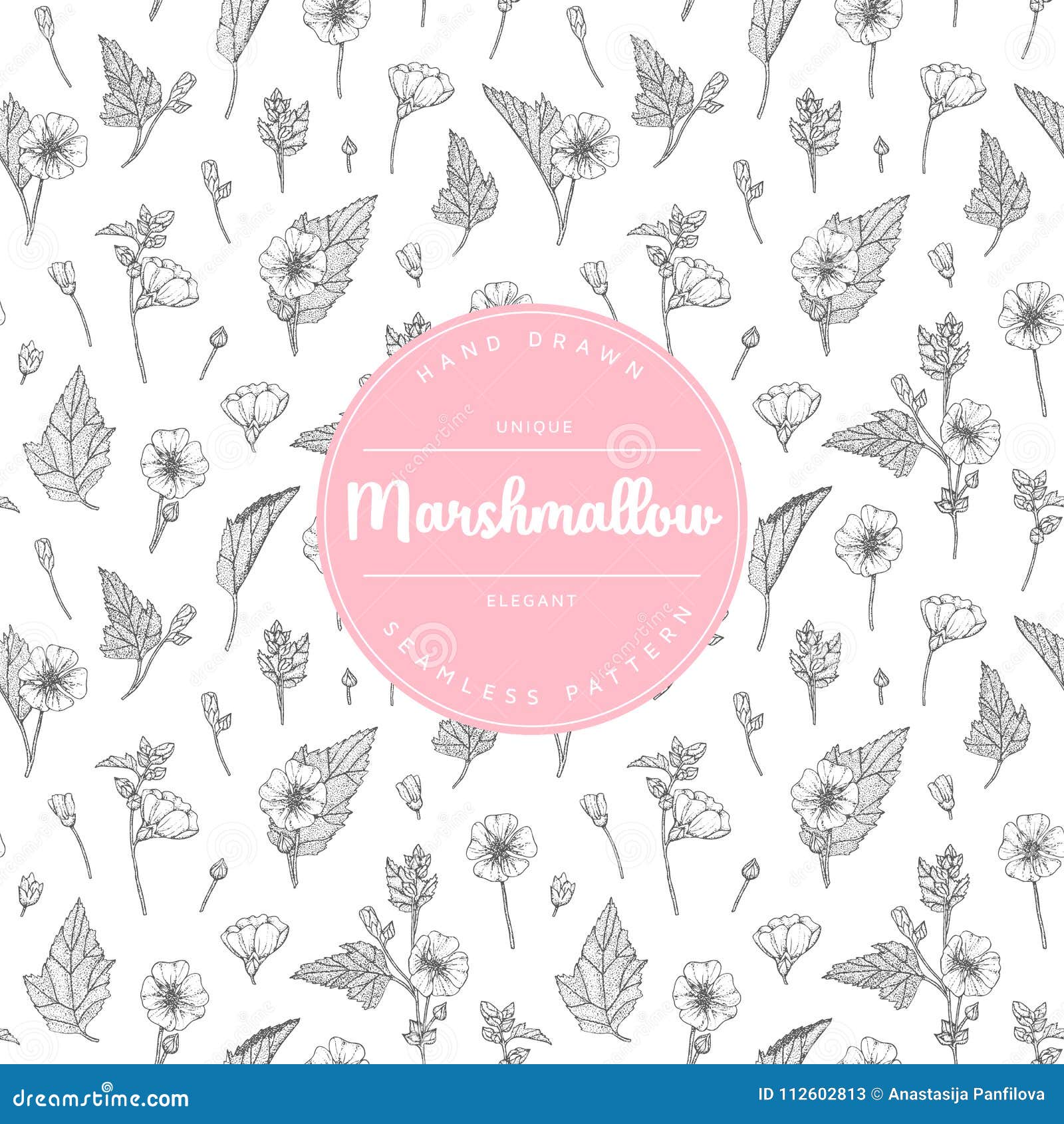 Marshmallow Flower. Color Medical Herbs And Plants Isolated On White ...