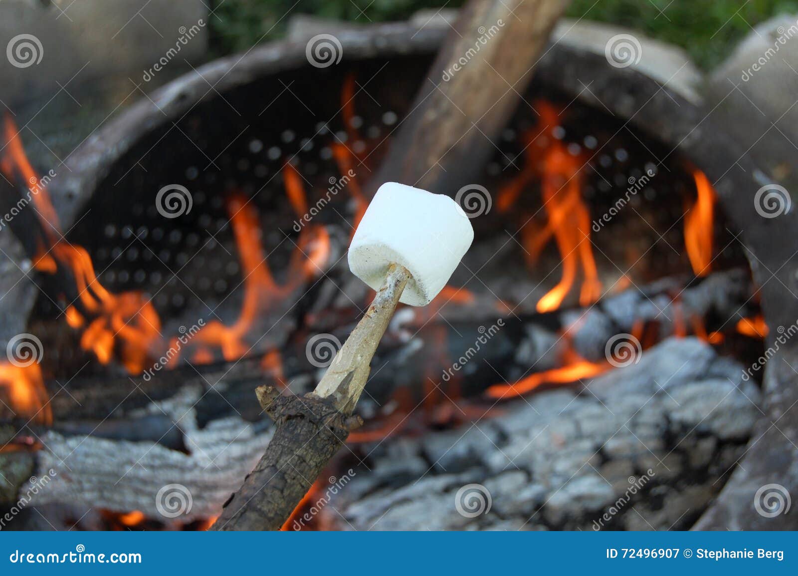 Marshmallow Roasting on a Camp Fire Stock Image - Image of fire ...
