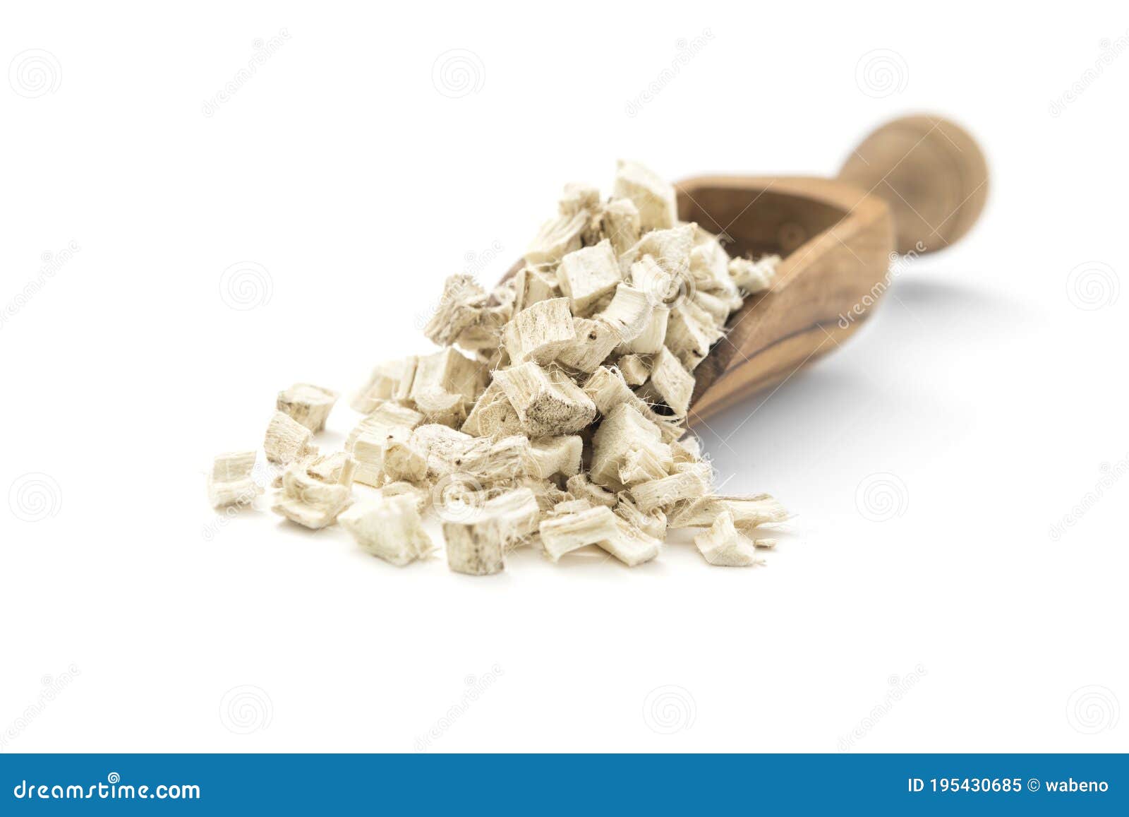 Marshmallow Root Althaea Officinalis Stock Image - Image of officinalis ...