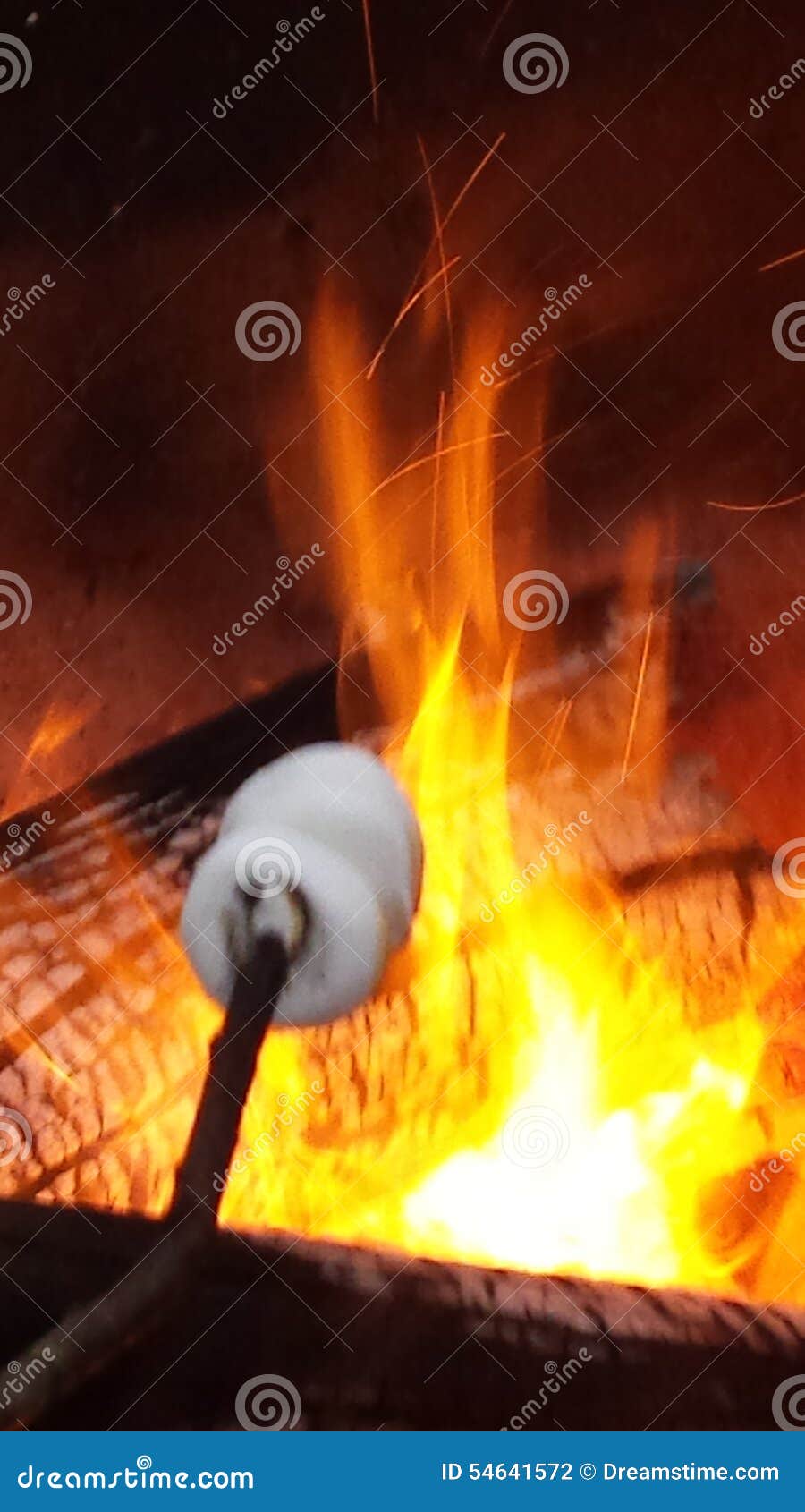 Marshmallows stock photo. Image of bonfire, marshmallows - 54641572