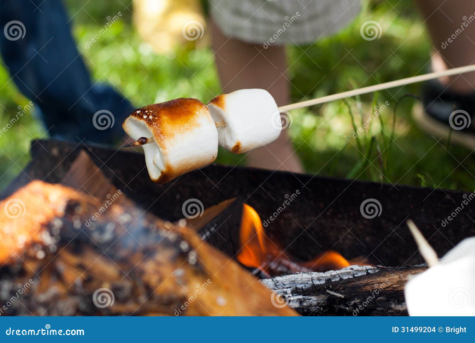 Marshmallows stock photo. Image of sweet, fire, cook - 31499204