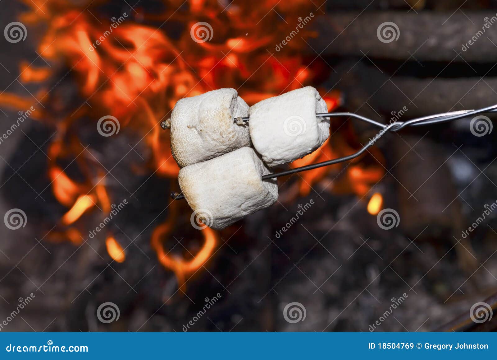 Marshmallows Over the Fire. Stock Image - Image of people, smoke: 18504769