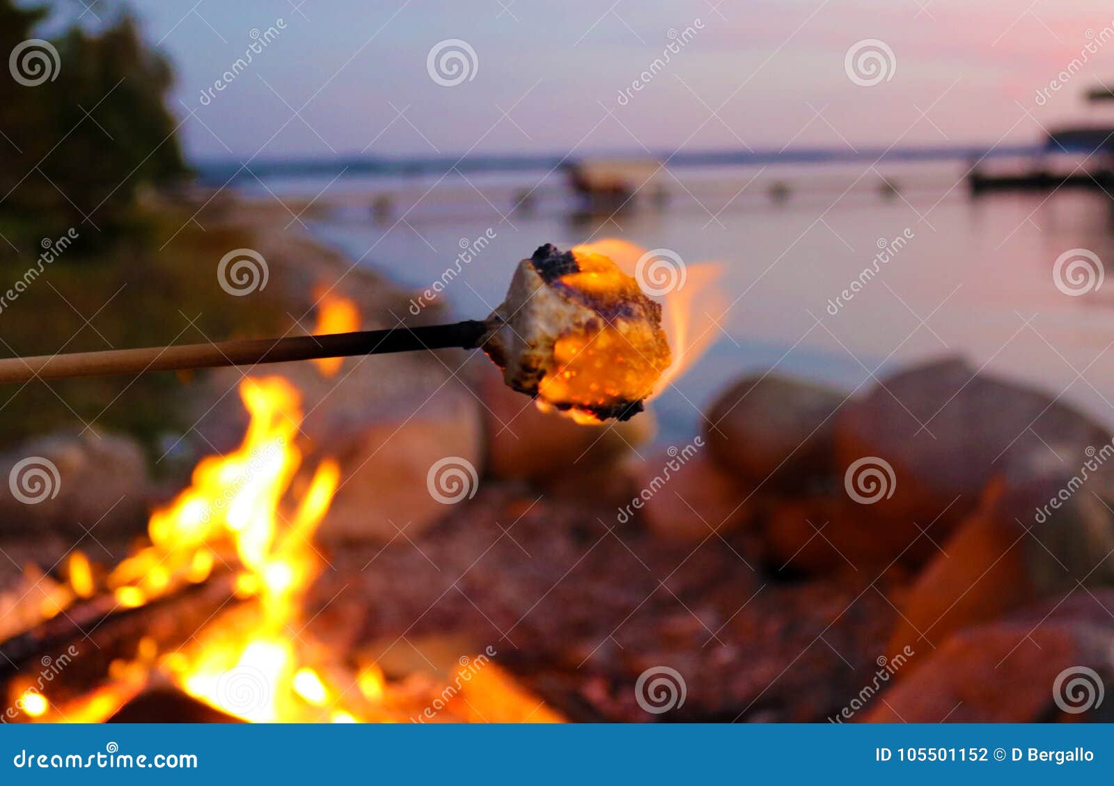 Marshmallow on Fire during Summer Front Lake Stock Photo - Image of ...