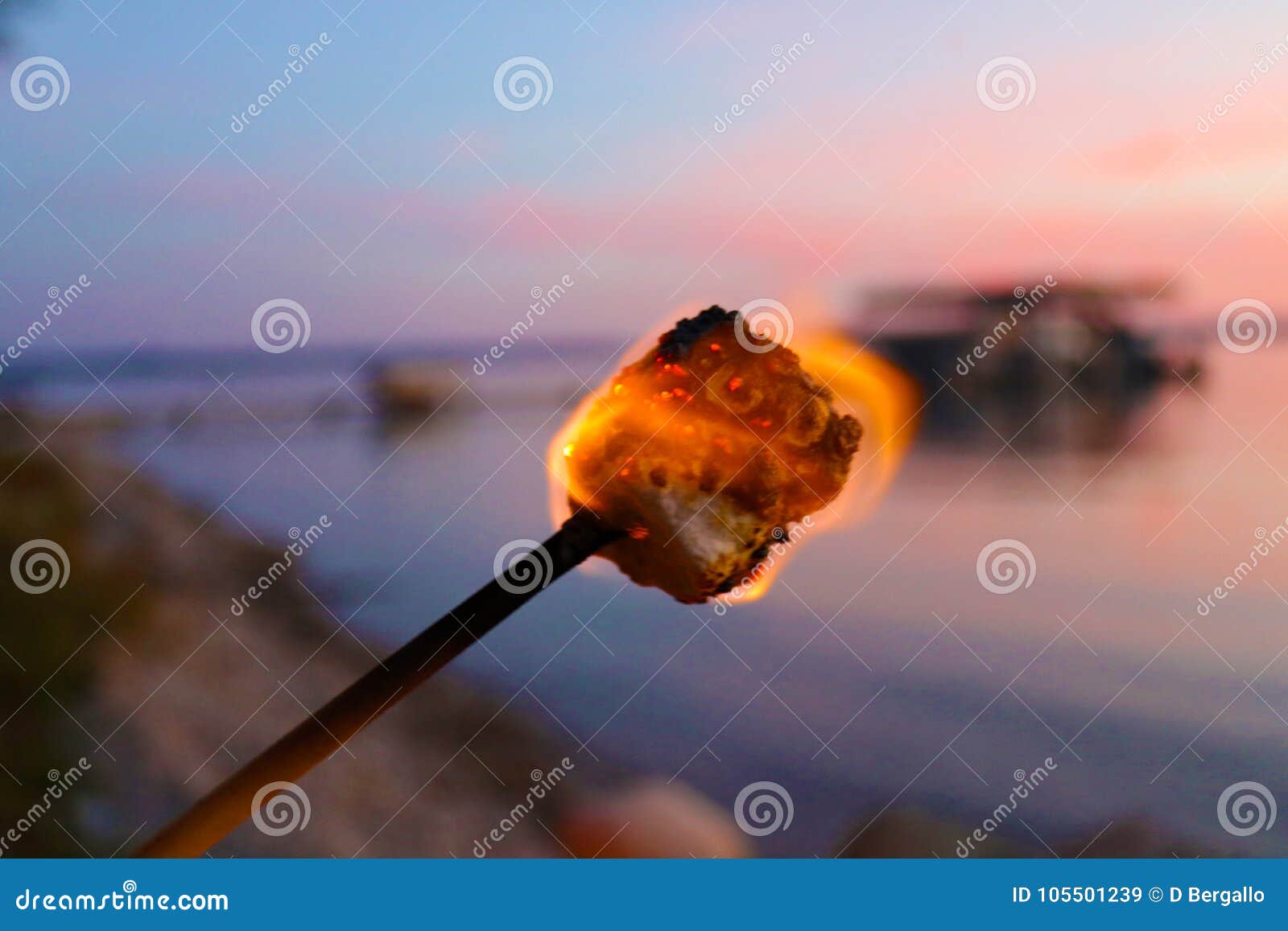 Marshmallow on Fire during Summer Front Lake Stock Image - Image of ...