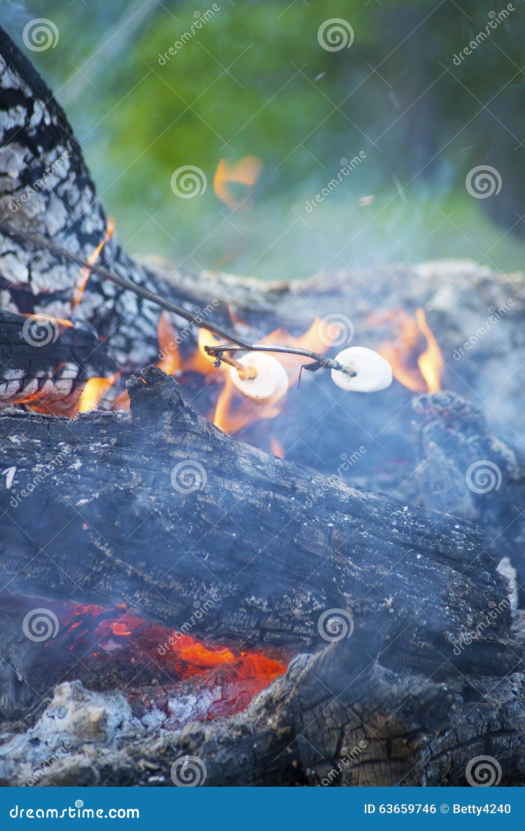 Marshmellows on a Steel Rod Roasting Over an Open Fire. Stock Photo ...