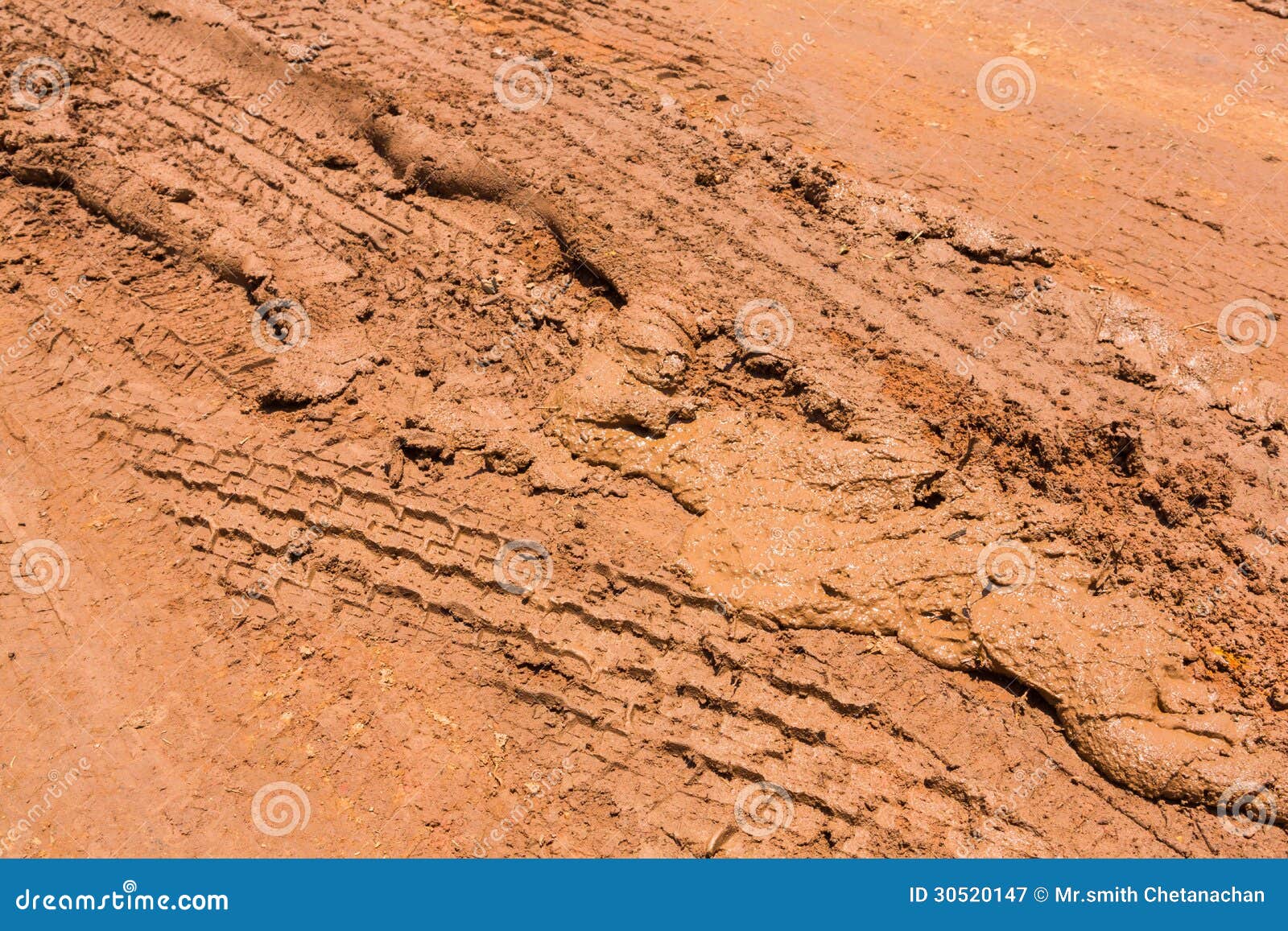 Marshy road stock image. Image of sand, print, speed - 30520147