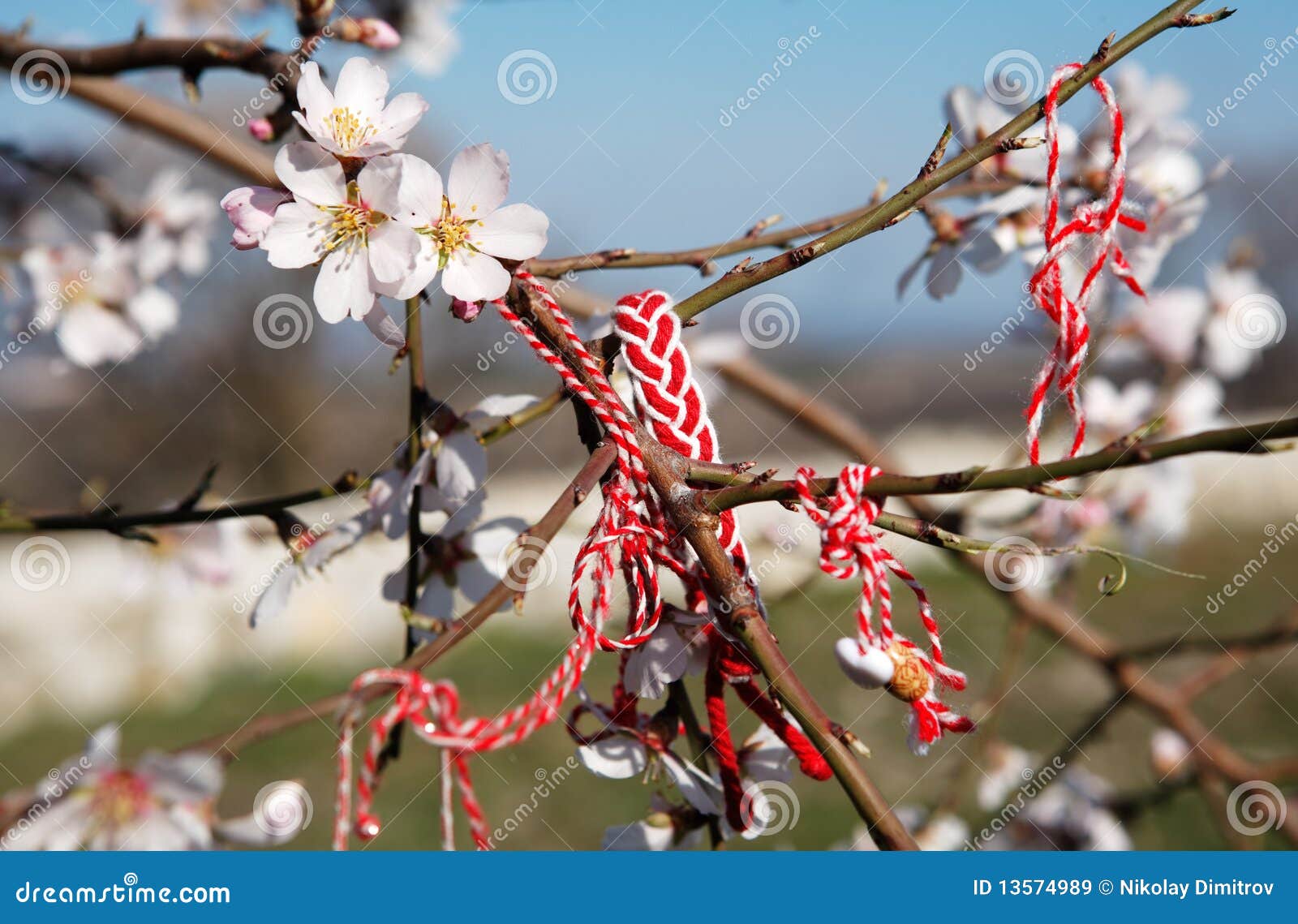 Martenitsa Bulgarian Customs Stock Image - Image of bulgarian, march ...