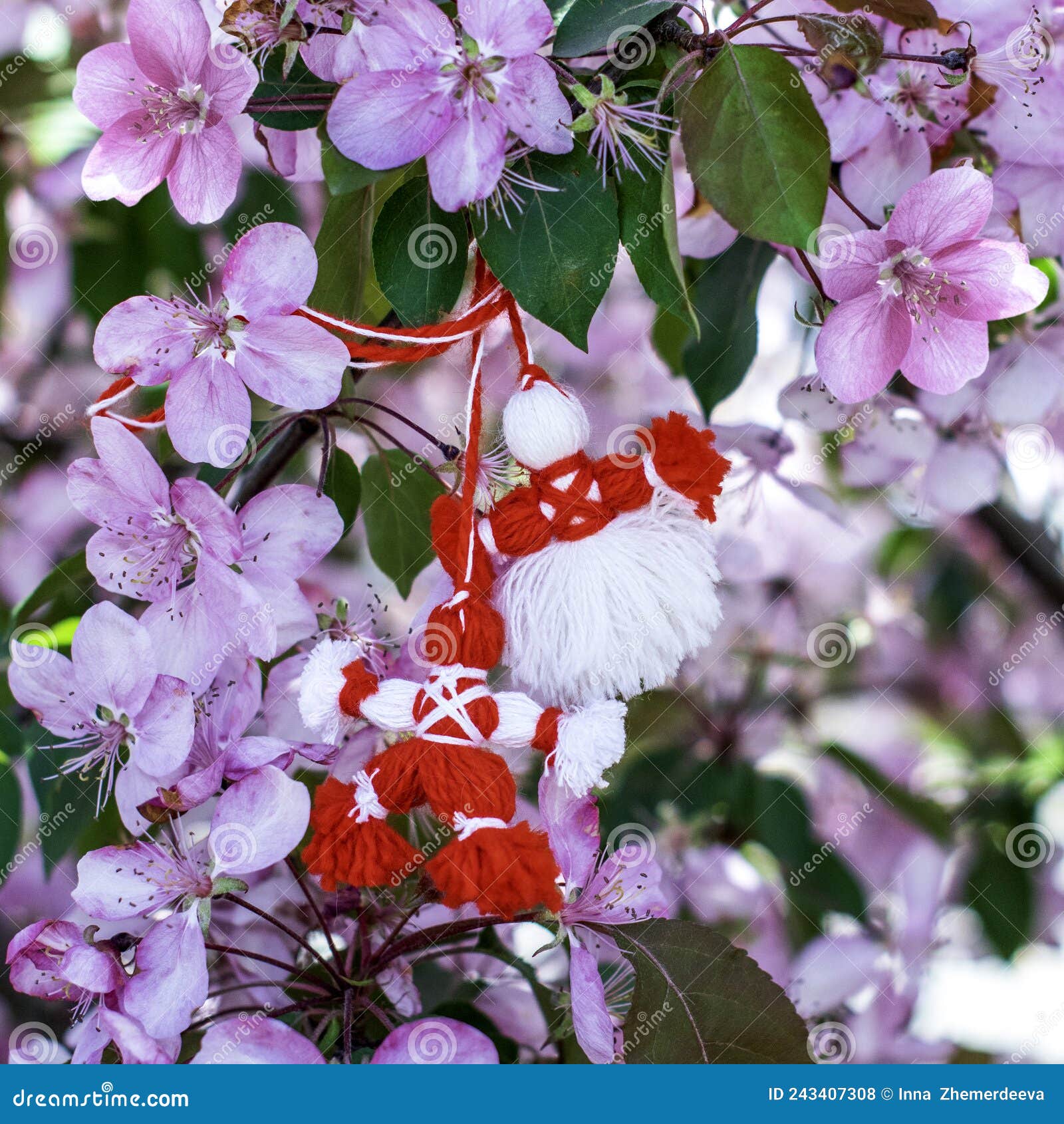 Martenitsa on a Flowering Tree.Symbol of Spring.March 1 Tradition Stock ...