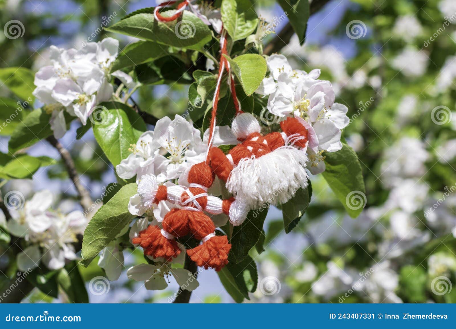 March 1 Tradition.Martenitsa on a Flowering Tree.Baba Marta Day. Stock ...