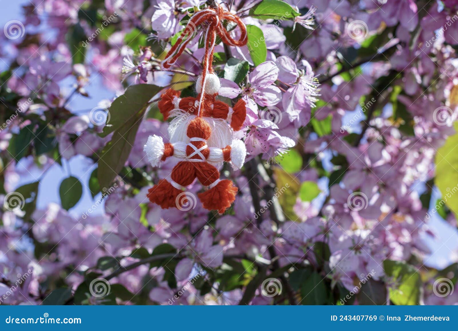 Baba Marta Day.Martenitsa on a Flowering Tree.Symbol of Spring. Stock ...