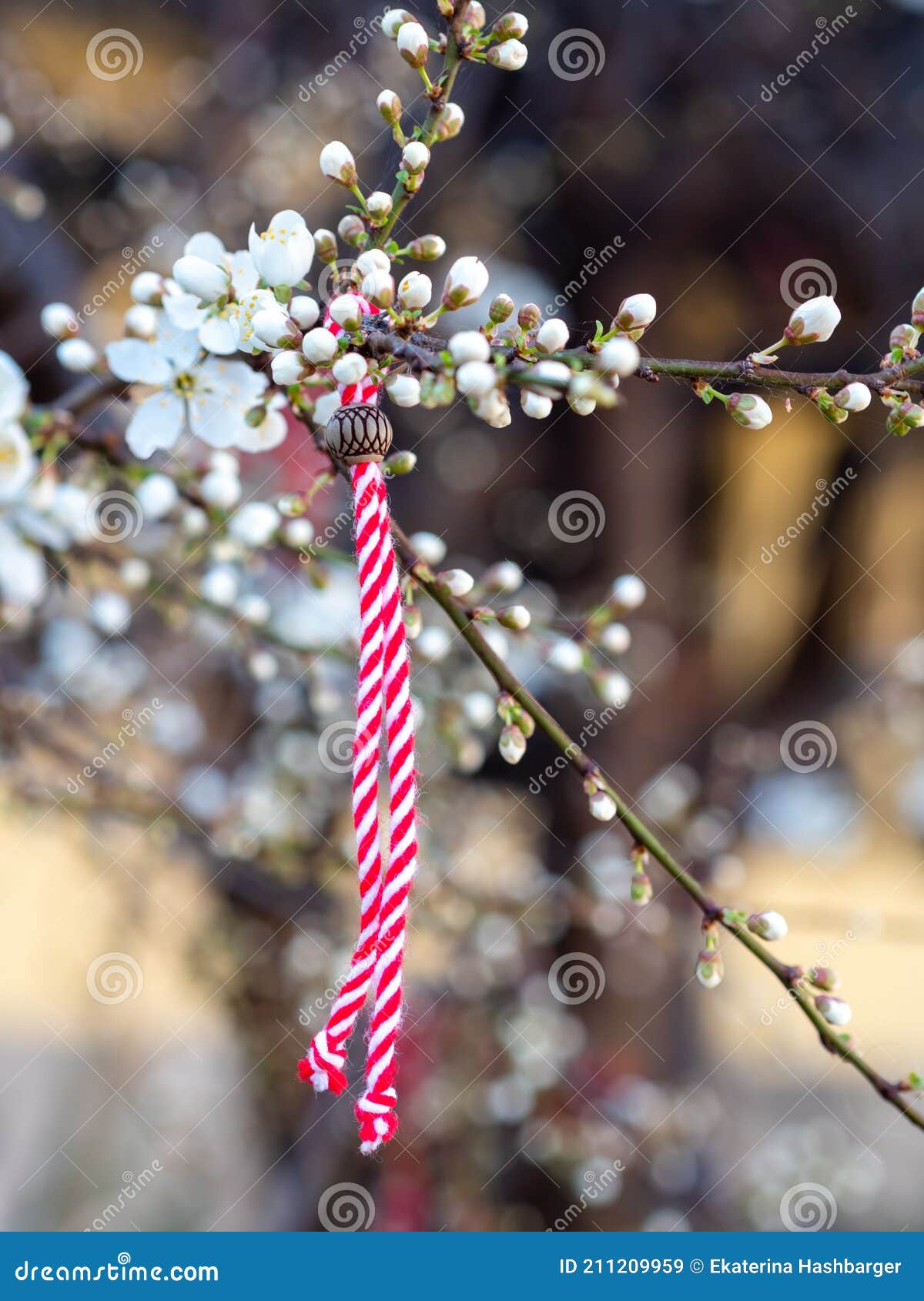 Martenitsa or Martisor - Bulgarian and Romanian Tradition Stock Image ...